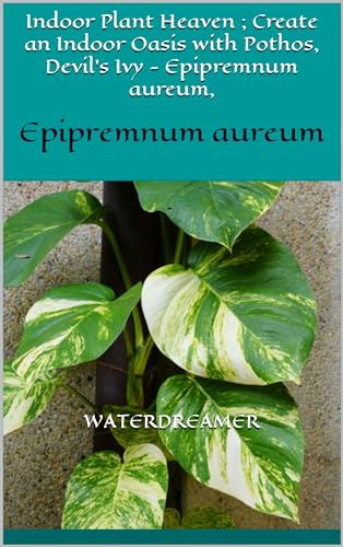 Indoor Plant Heaven : Creating an Indoor Oasis with Epipremnum aureum ...