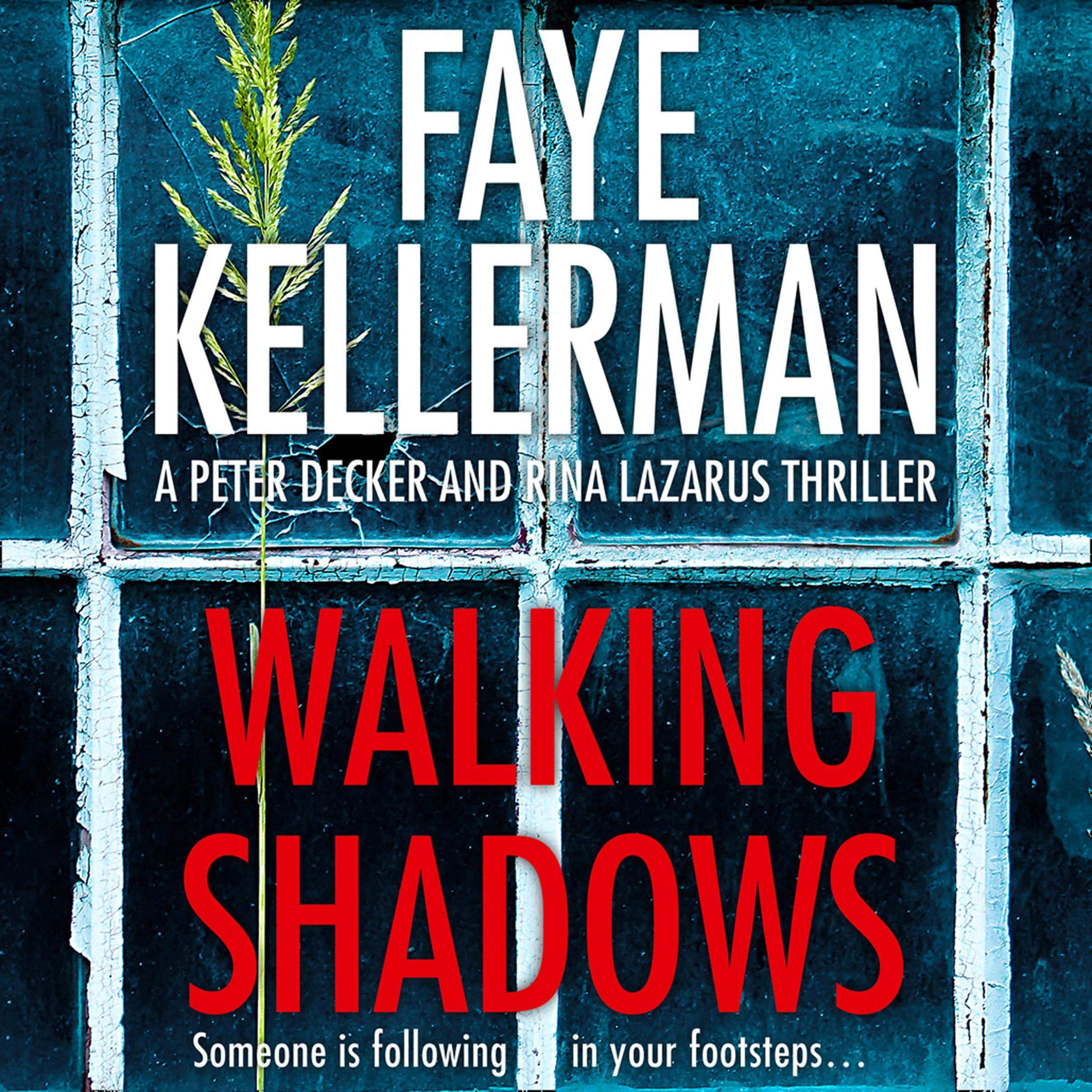 Walking Shadows: Peter Decker and Rina Lazarus Crime Series, Book 25 by ...