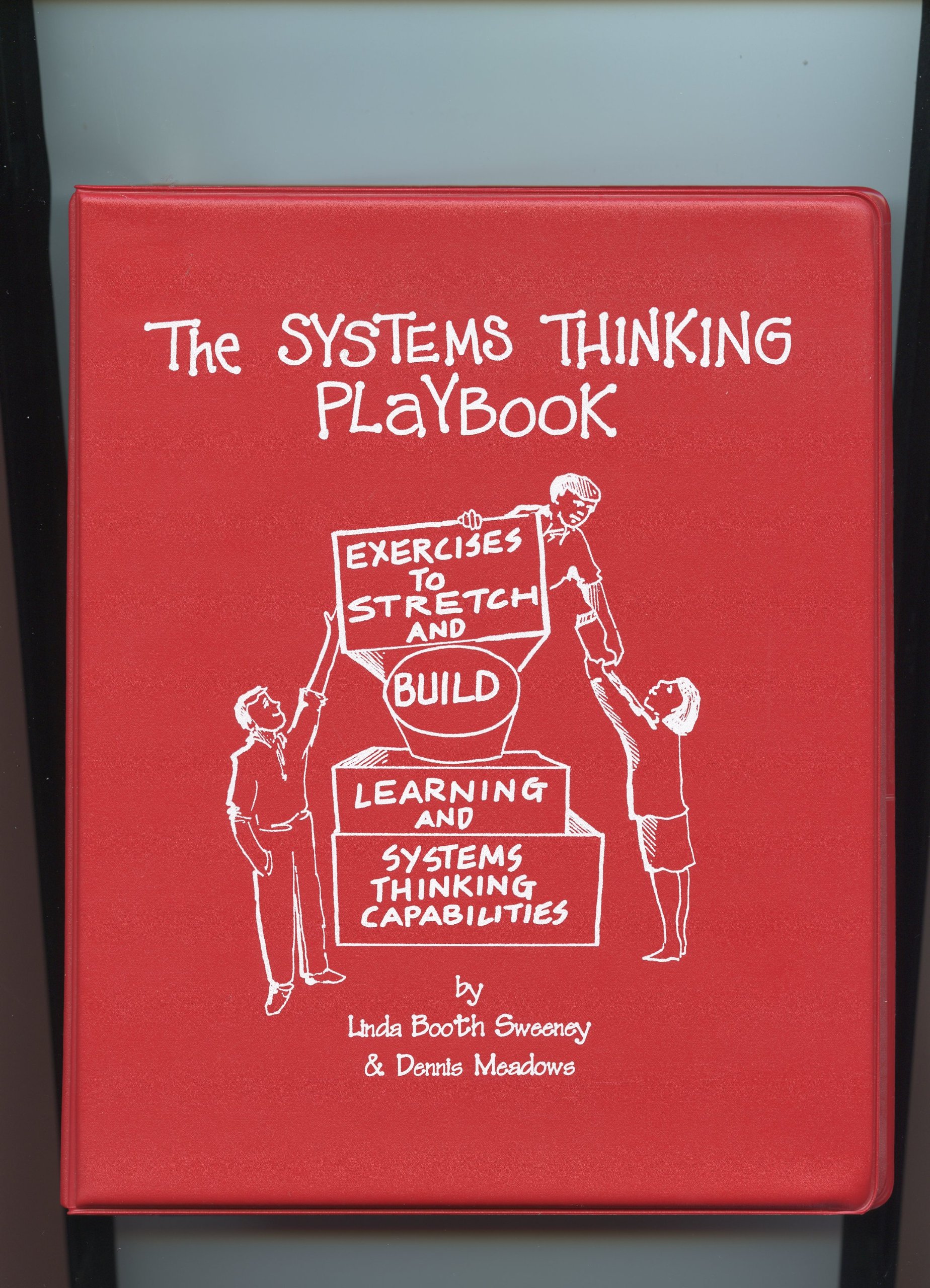 The systems thinking playbook: Exercises to stretch and build learning ...