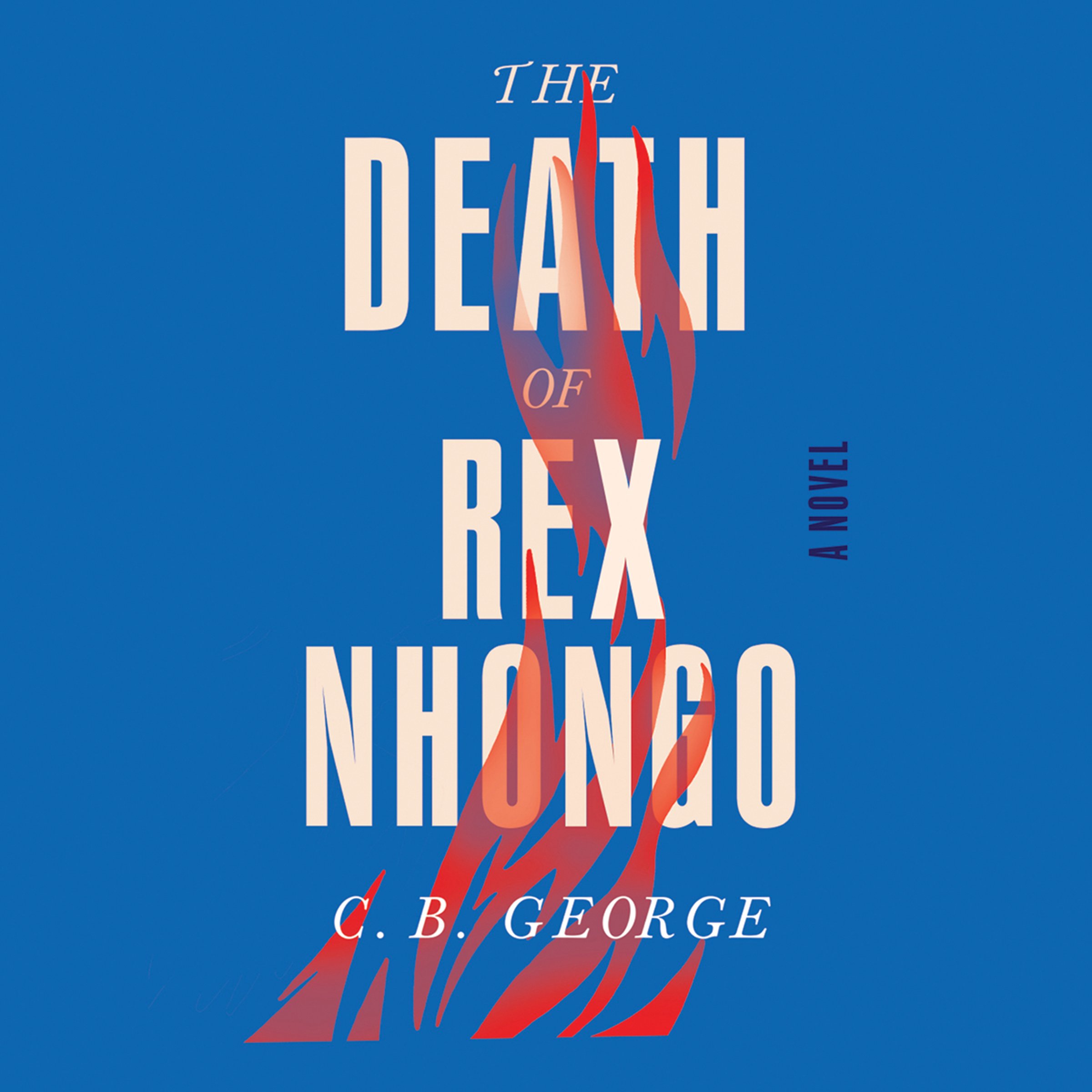 The Death of Rex Nhongo: A Novel by C.B. George | Goodreads