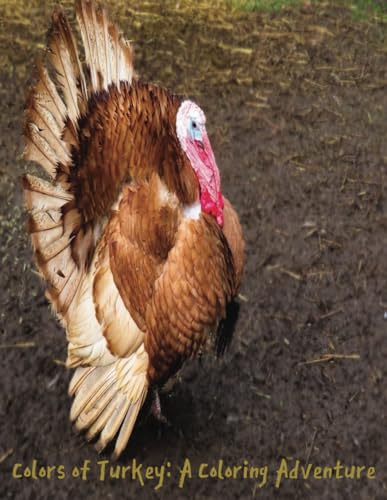 Colors of Turkey: A Coloring Adventure by Alicia Nichol | Goodreads