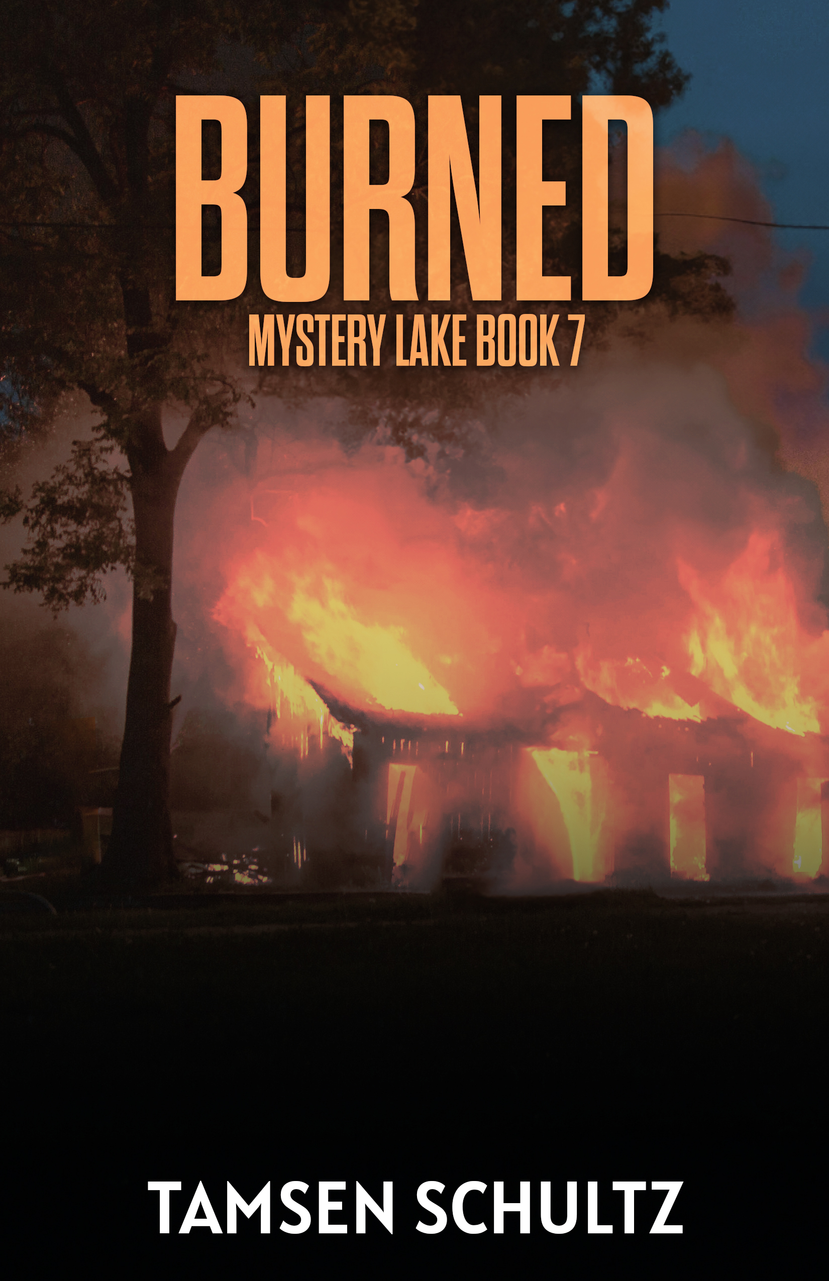Burned (Mystery Lake, #7) by Tamsen Schultz | Goodreads