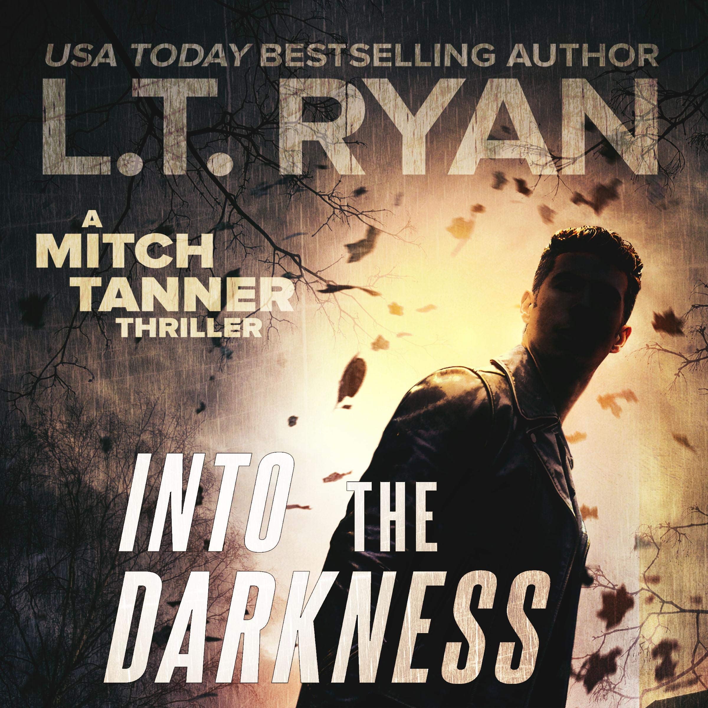Into the Darkness: A Mystery Thriller by L.T. Ryan | Goodreads