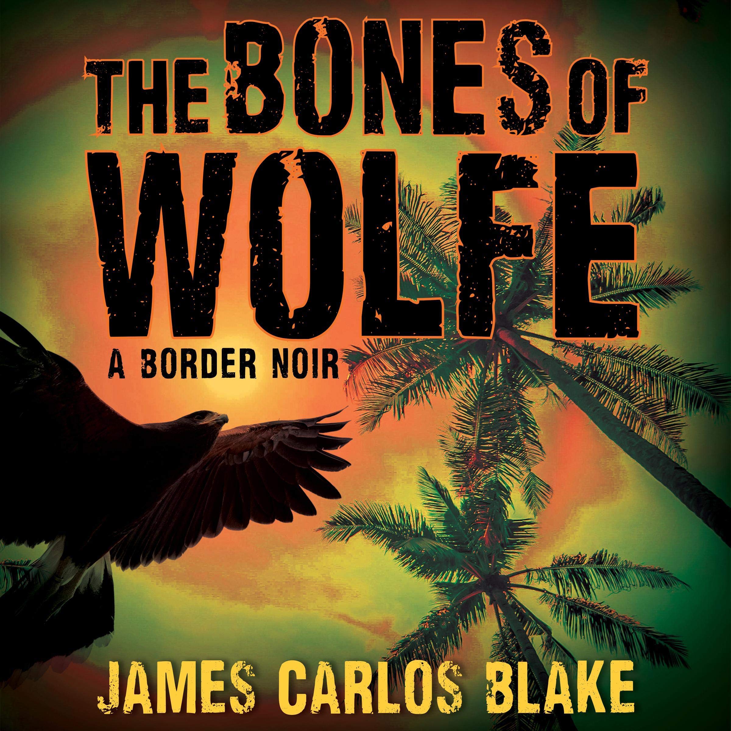 The Bones of Wolfe: A Border Noir by James Carlos Blake | Goodreads