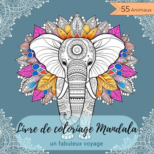 Livre de coloriage mandala: Livre de coloriage pour les jeunes à partir ...