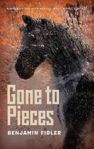 Gone to Pieces by Benjamin Fidler | Goodreads