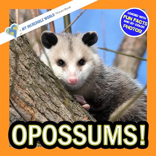 Opossums!: A My Incredible World Picture Book for Children by Hope ...