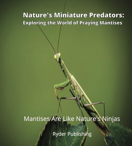 Nature's Miniature Predators Exploring the World of Praying Mantises ...