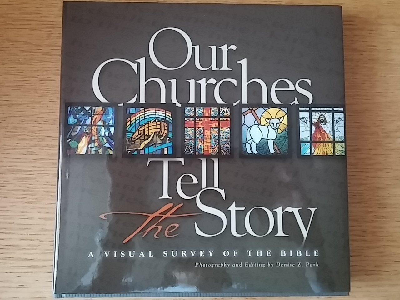 Our Churches Tell the Story: A Visual Suvery of the Bible by Denise Z ...