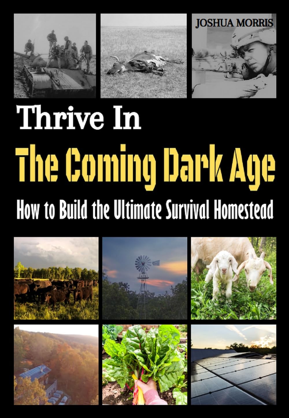 Thrive in the Coming Dark Age: How to Build the Ultimate Survival ...