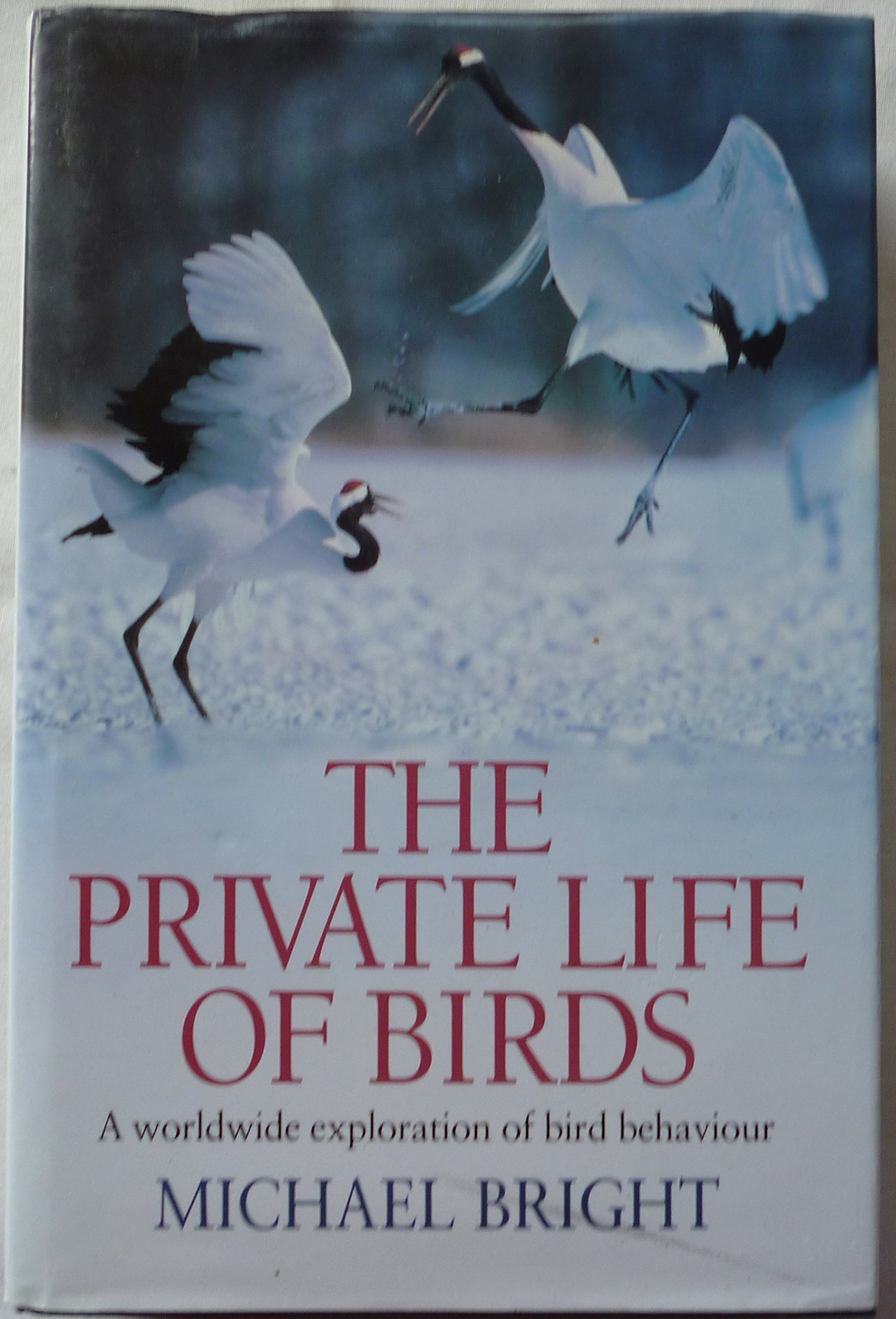 The Private Lives of Birds by Michael Bright | Goodreads