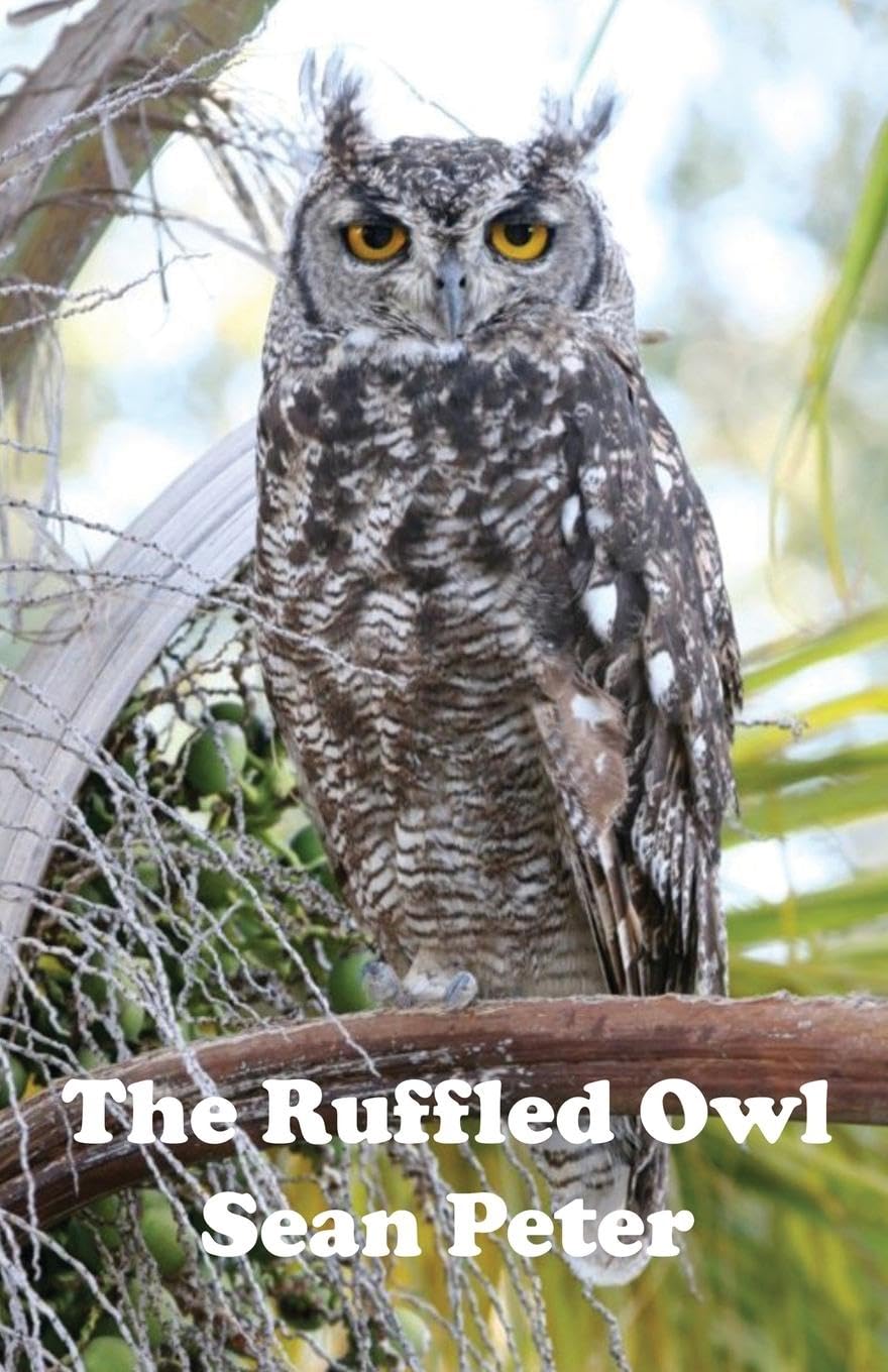 The Ruffled Owl by Sean Peter | Goodreads