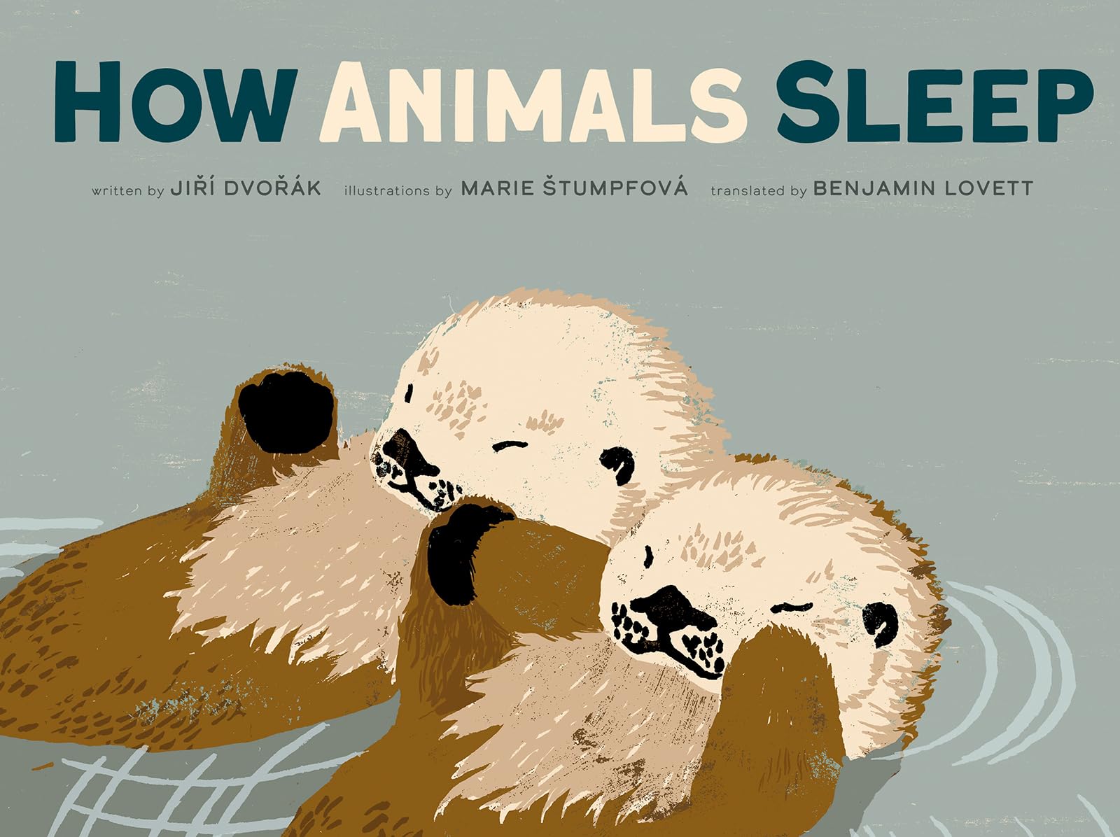How Animals Sleep by Jiří Dvořák | Goodreads