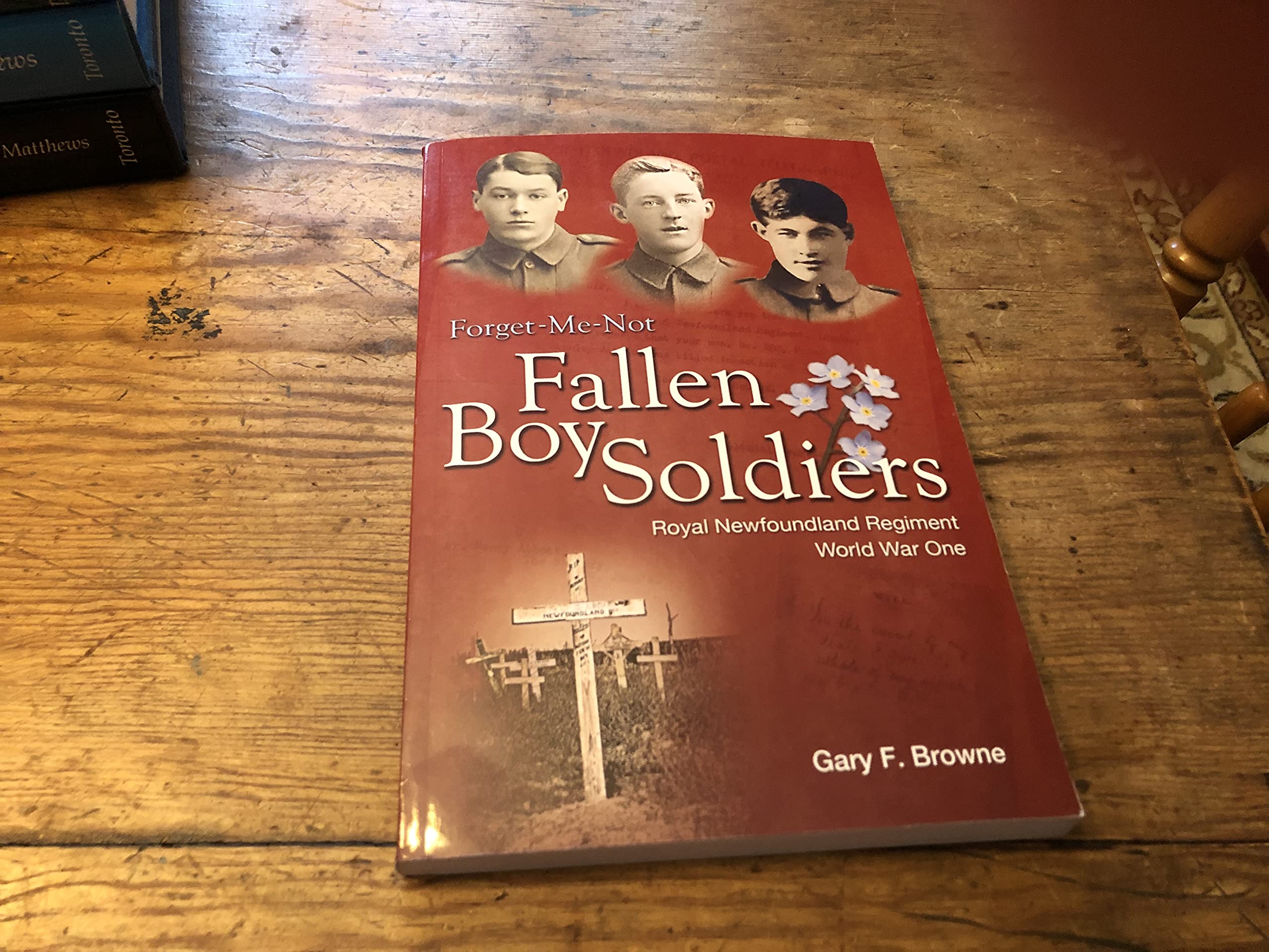 Fallen Boy Soldiers by Gary Browne | Goodreads