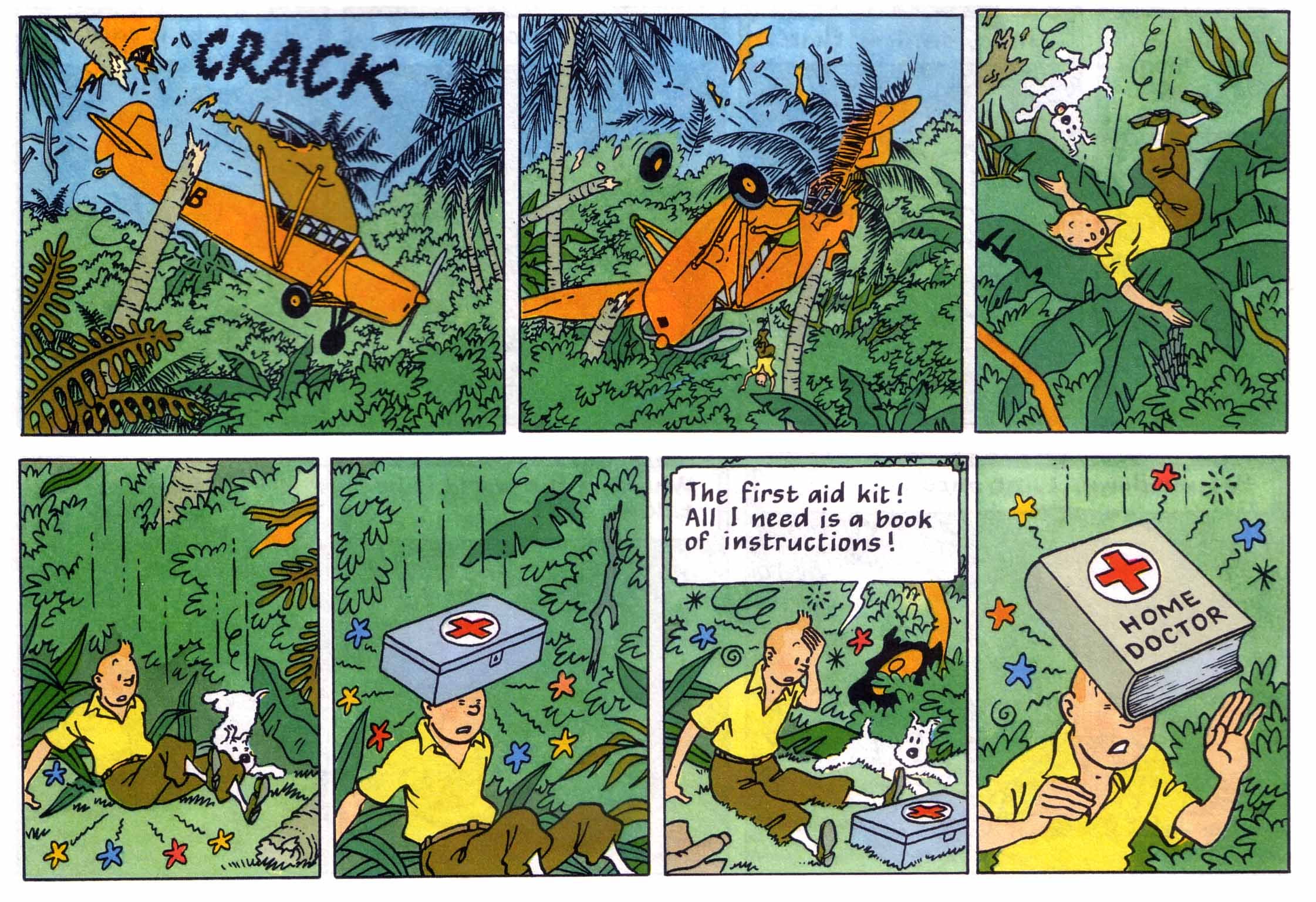 Tintin Comic Strip Books Set - A Collection of 23 Full Sized Books by ...