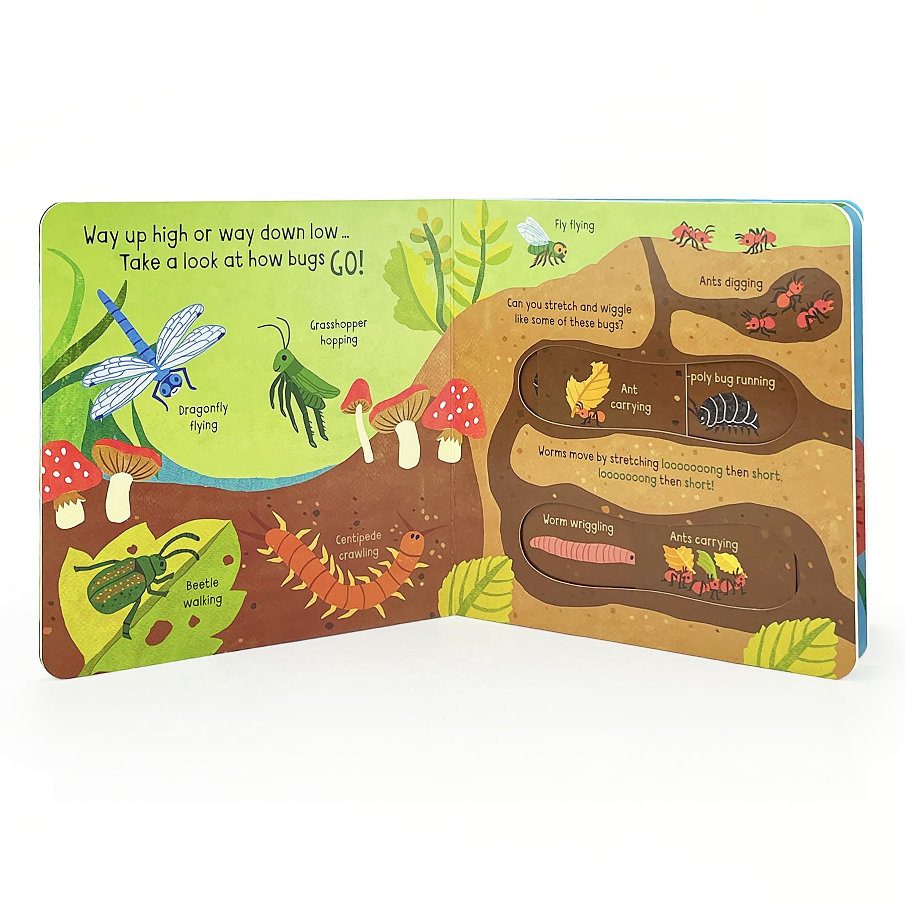 Little Wonders BUGS - Introduction to the World of Bugs Multi-Activity ...