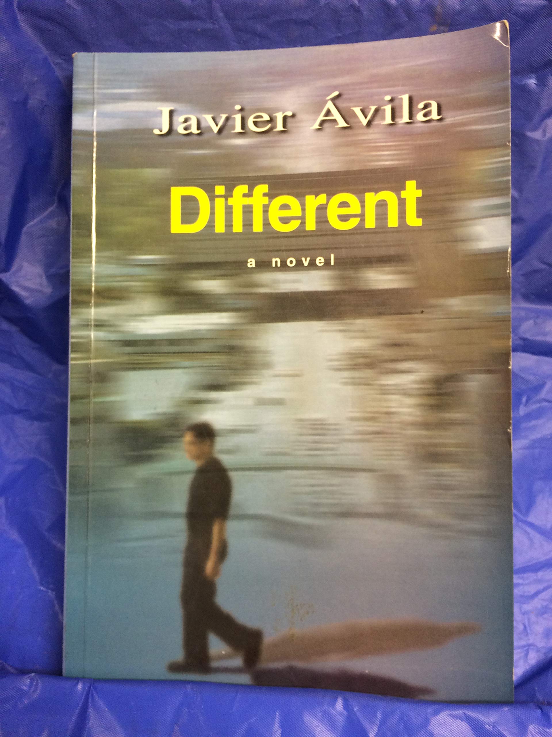 Different: A Novel (1st edition) by Javier E Avila | Goodreads