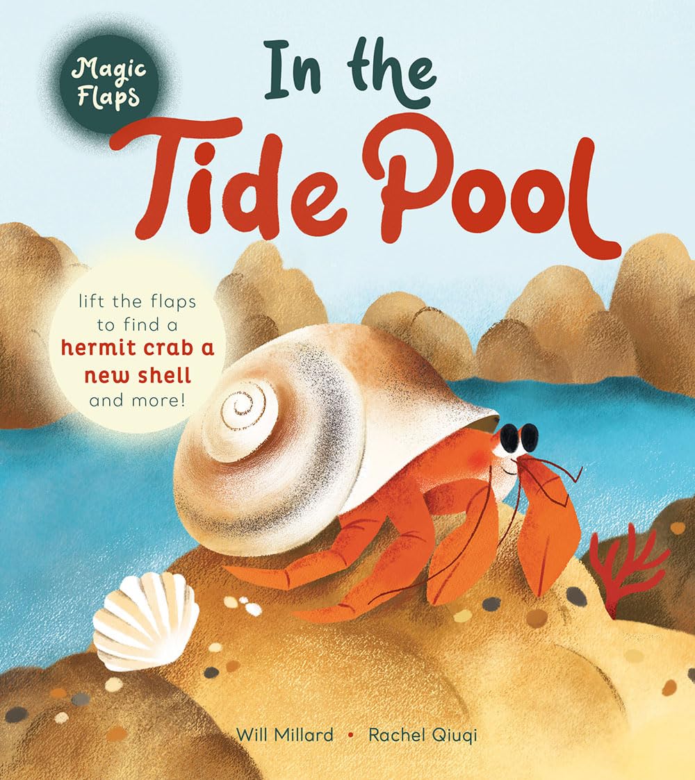 In the Tide Pool: A Magic Flaps Book by Will Millard | Goodreads