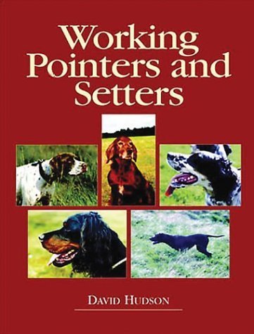 Working Pointers and Setters by David Hudson by David Hudson | Goodreads