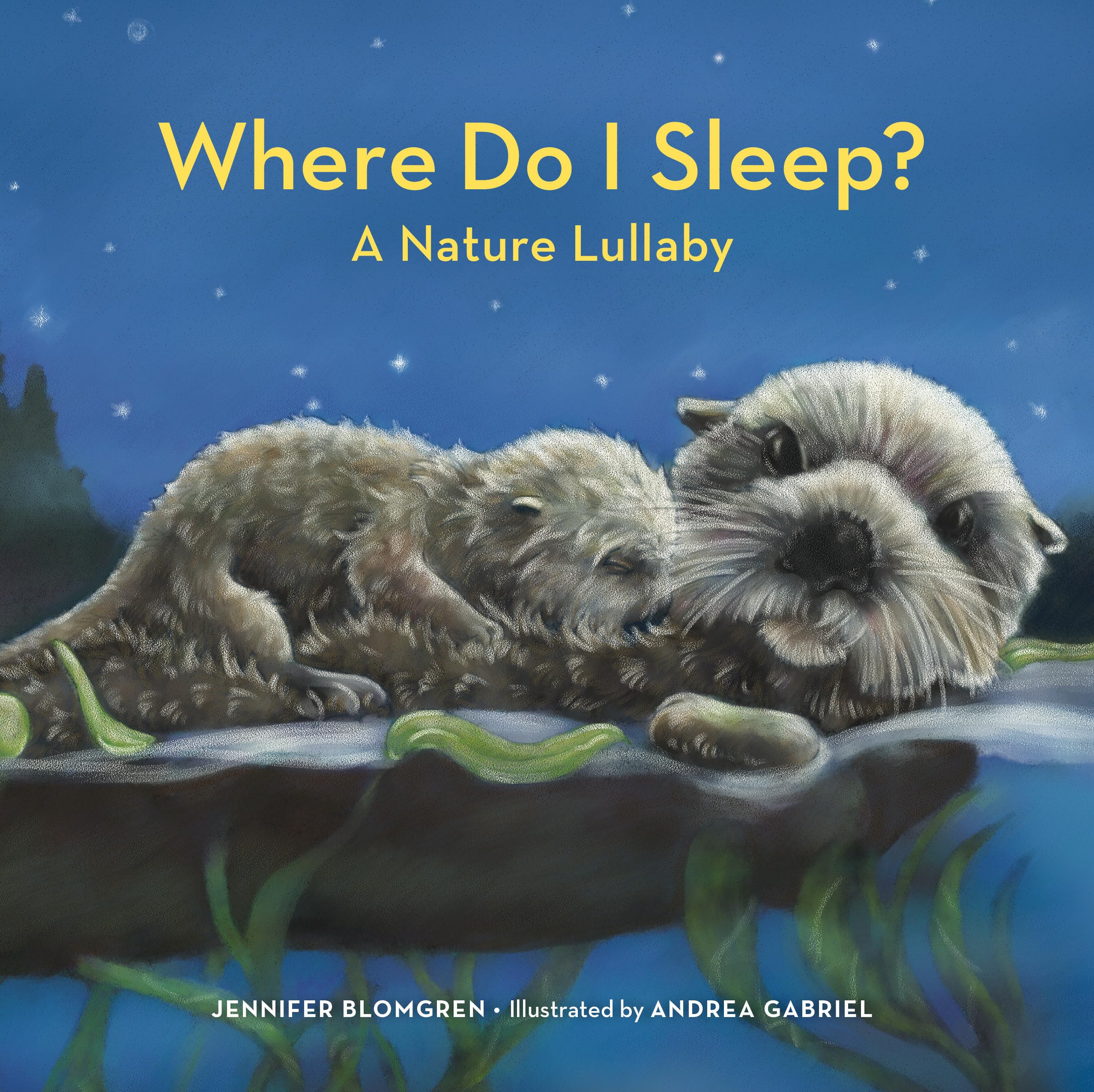 Where Do I Sleep?: A Nature Lullaby by Jennifer Blomgren | Goodreads