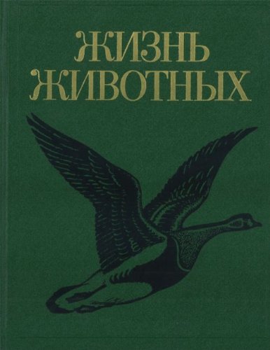 Art, Memoir and Jung: Personal and Psychological Encounters by Juliet ...