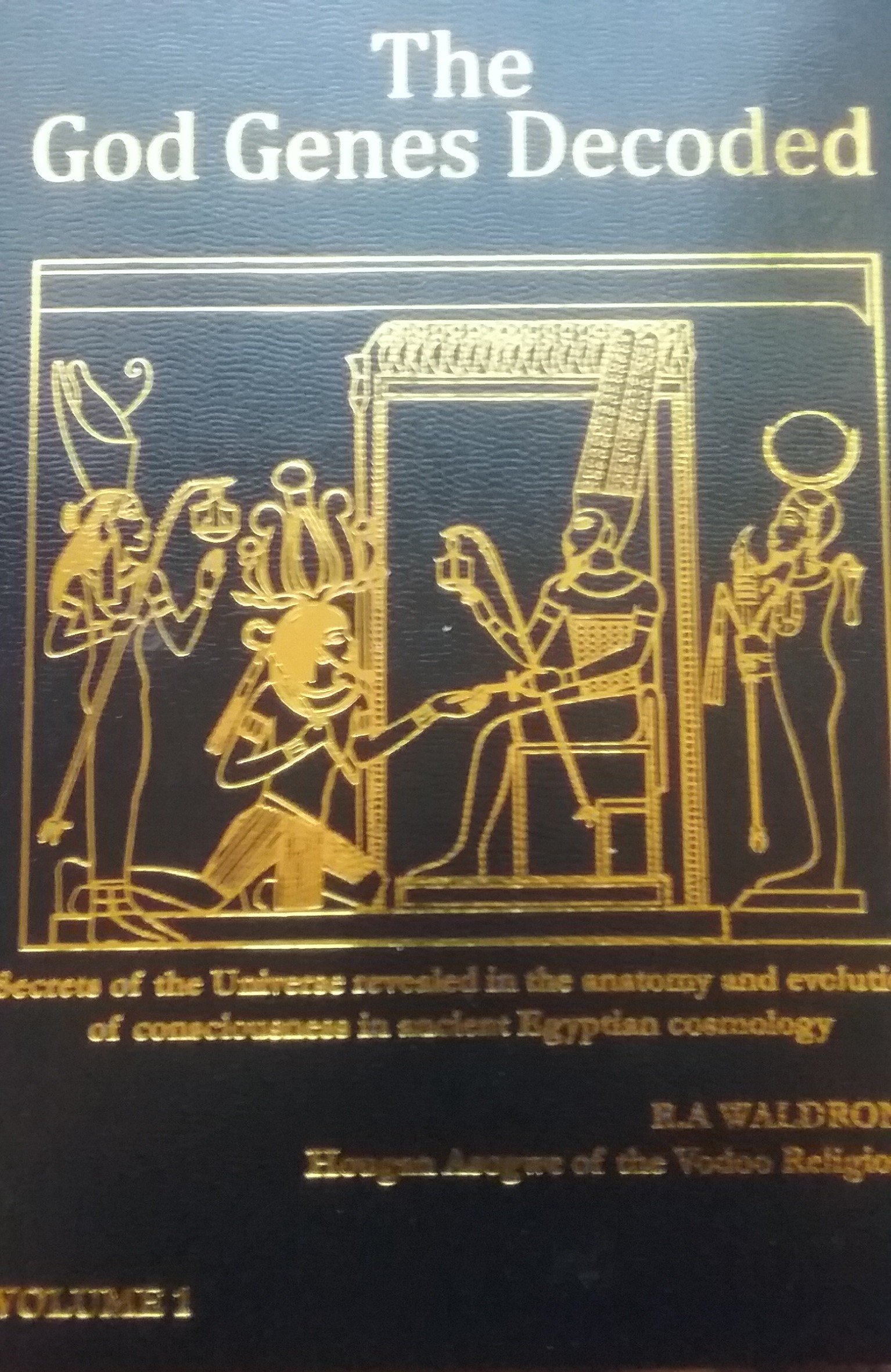 The God Genes Decoded Volume I by R.A. Waldron | Goodreads