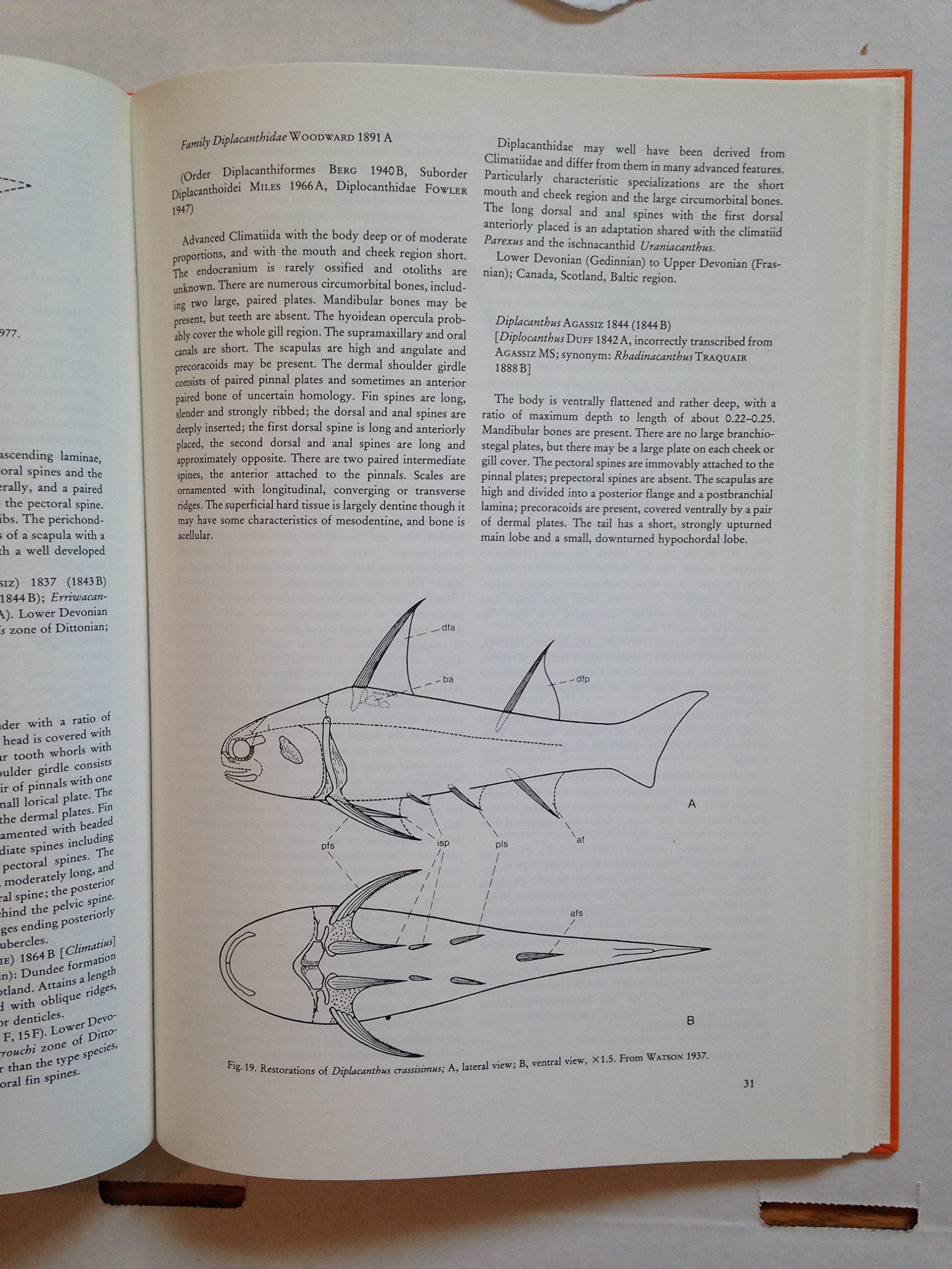 Acanthodii (Handbook of paleoichthyology) by Robert Howland Denison ...