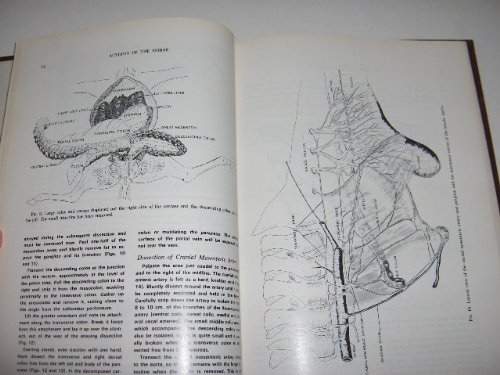 Autopsy of the Horse: Technique and Interpretation by James R. Rooney ...