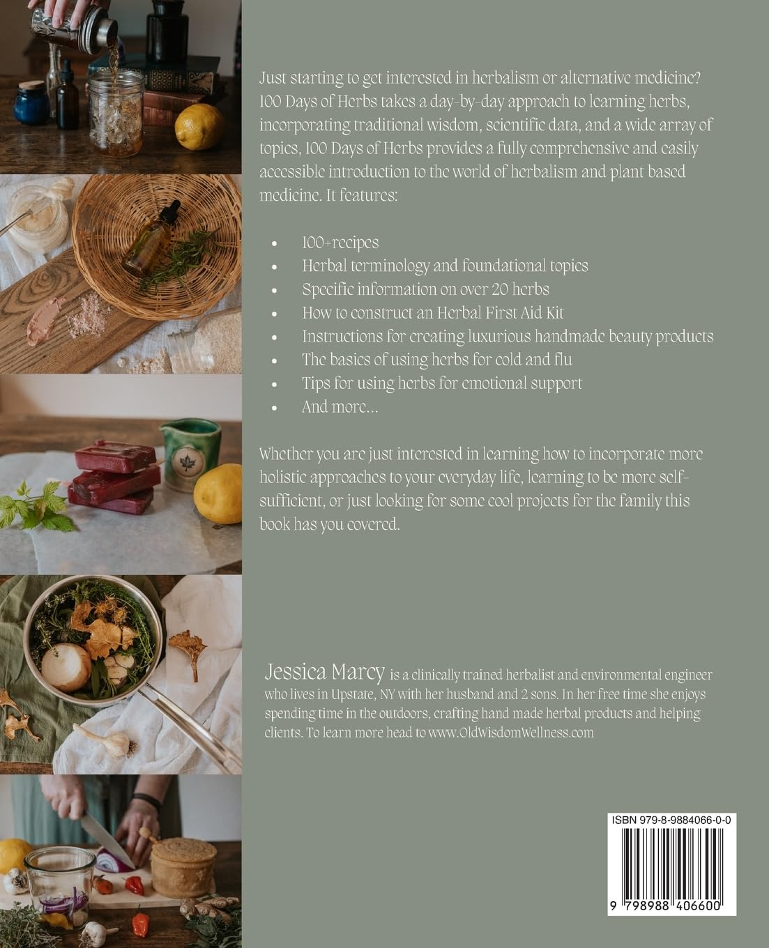 100 Days of Herbs: Small daily tasks to cultivate a deeper connection ...