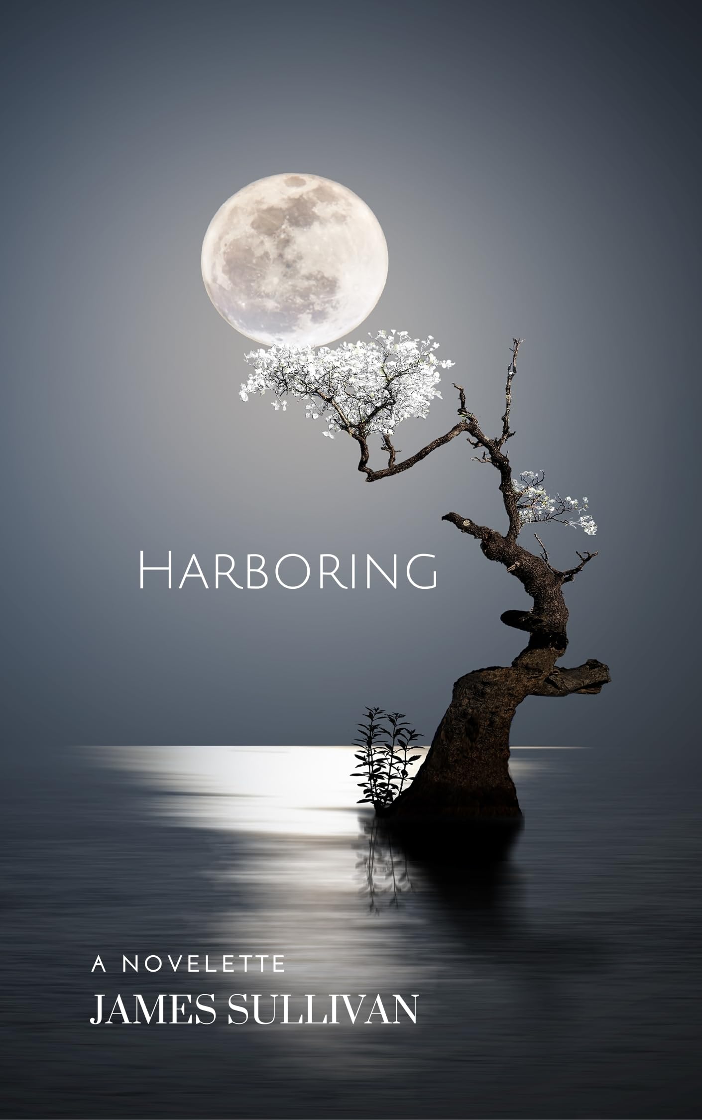 Harboring by James Sullivan | Goodreads