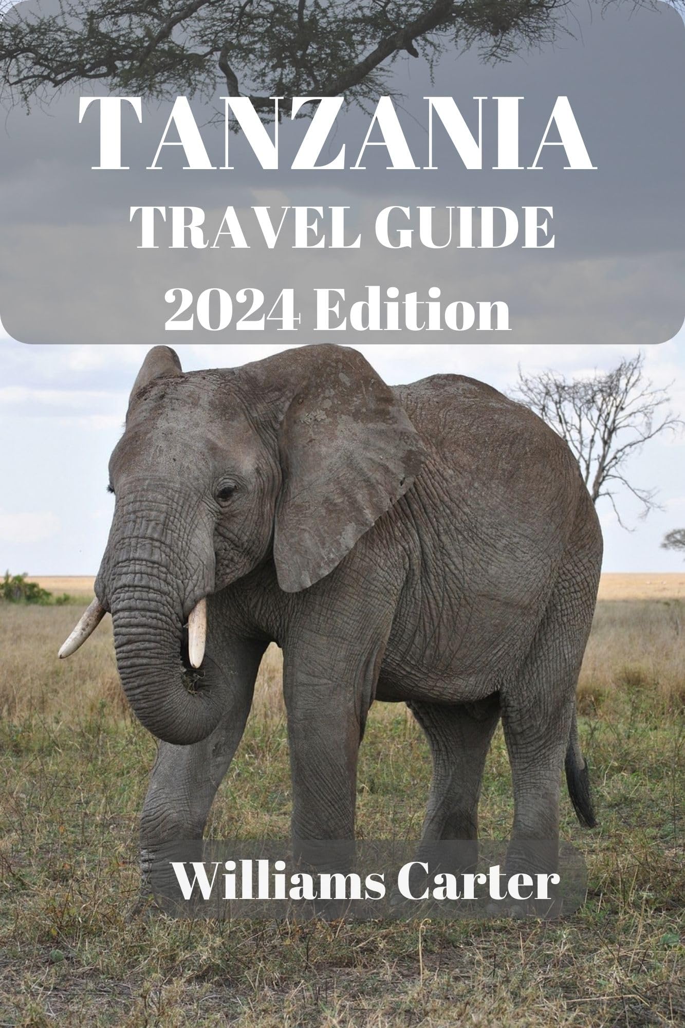 Tanzania travel guide 2024 Edition: Safaris, Kilimanjaro, and Zanzibar: A Journey Through the ...
