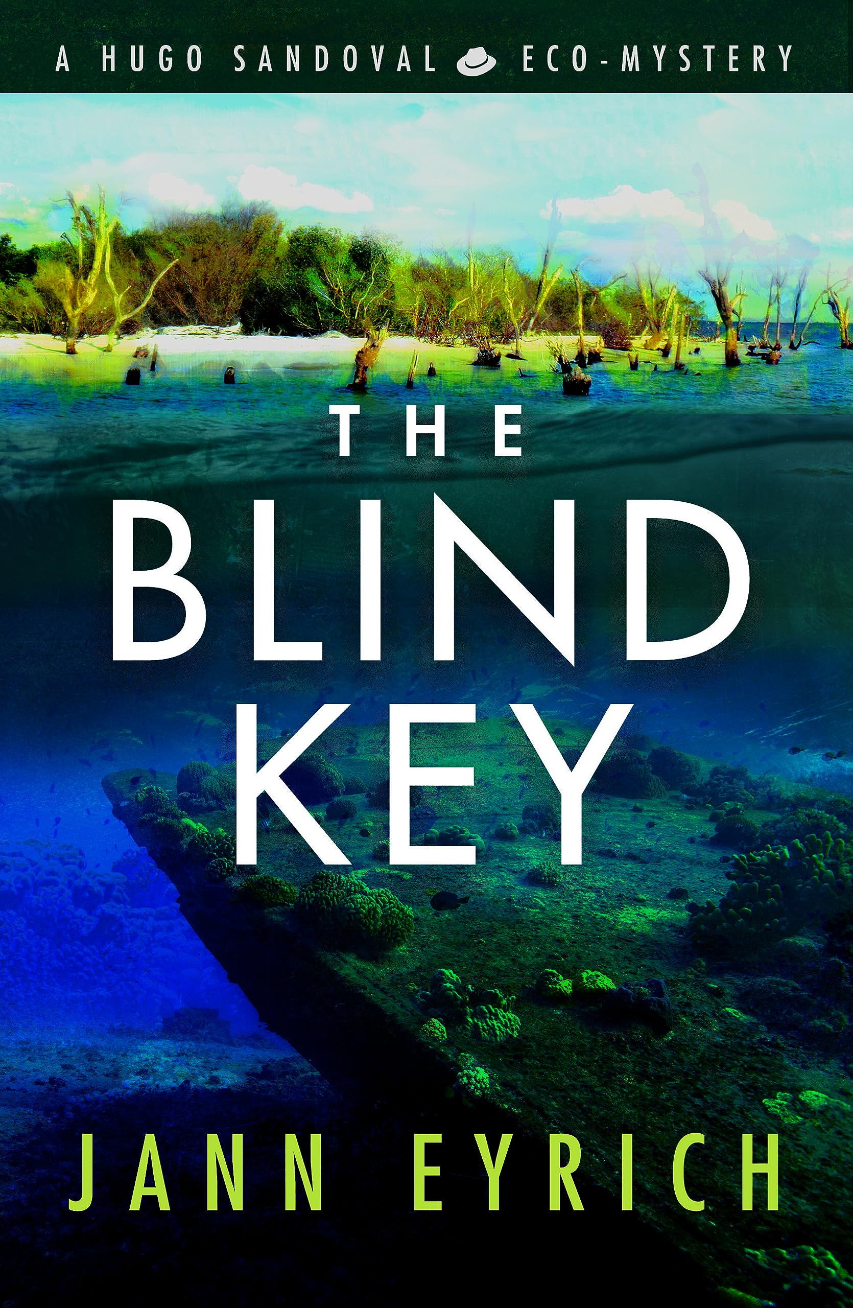 The Blind Key (Hugo Sandoval Eco-Mystery, #2) by Jann Eyrich | Goodreads
