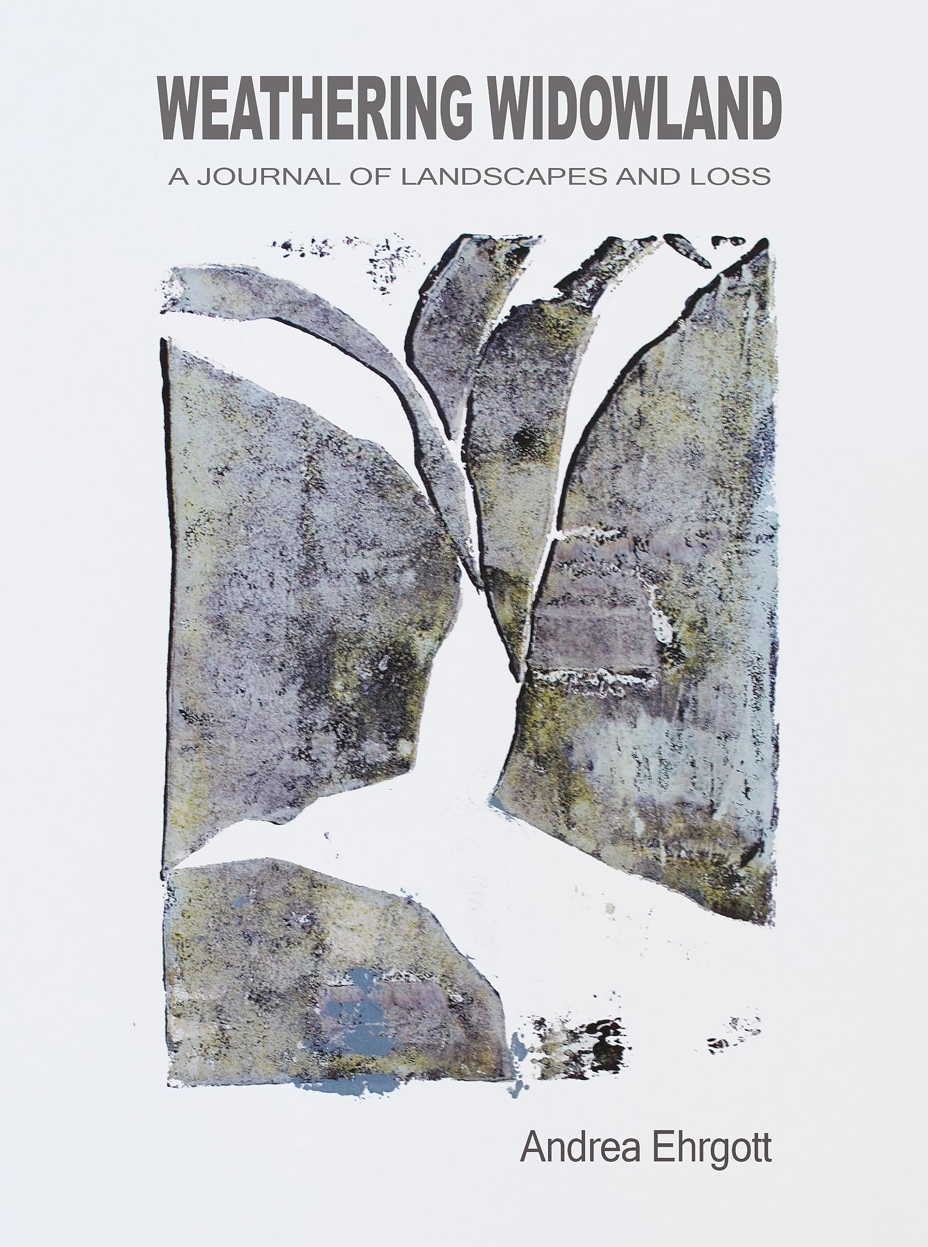 Weathering Widowland: A Journal of Landscapes and Loss by Andrea ...