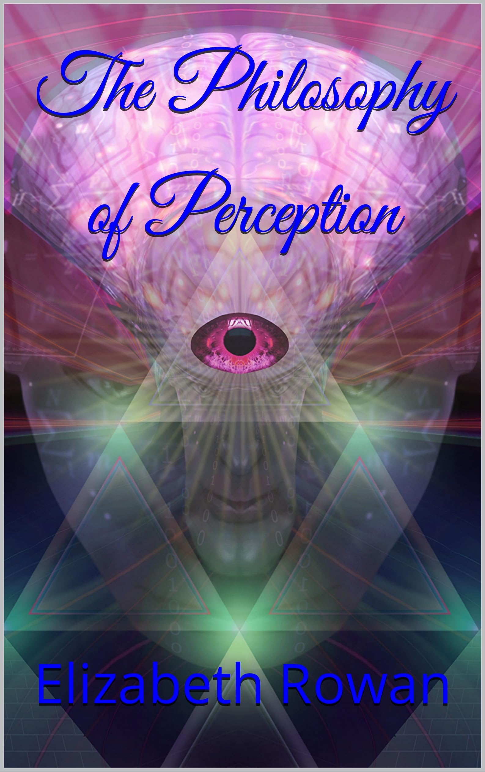 The Philosophy of Perception by Elizabeth Rowan | Goodreads