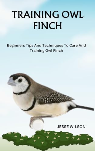 TRAINING OWL FINCH: Beginners Tips And Techniques To Care And Training Owl Finch by Jesse Wilson ...