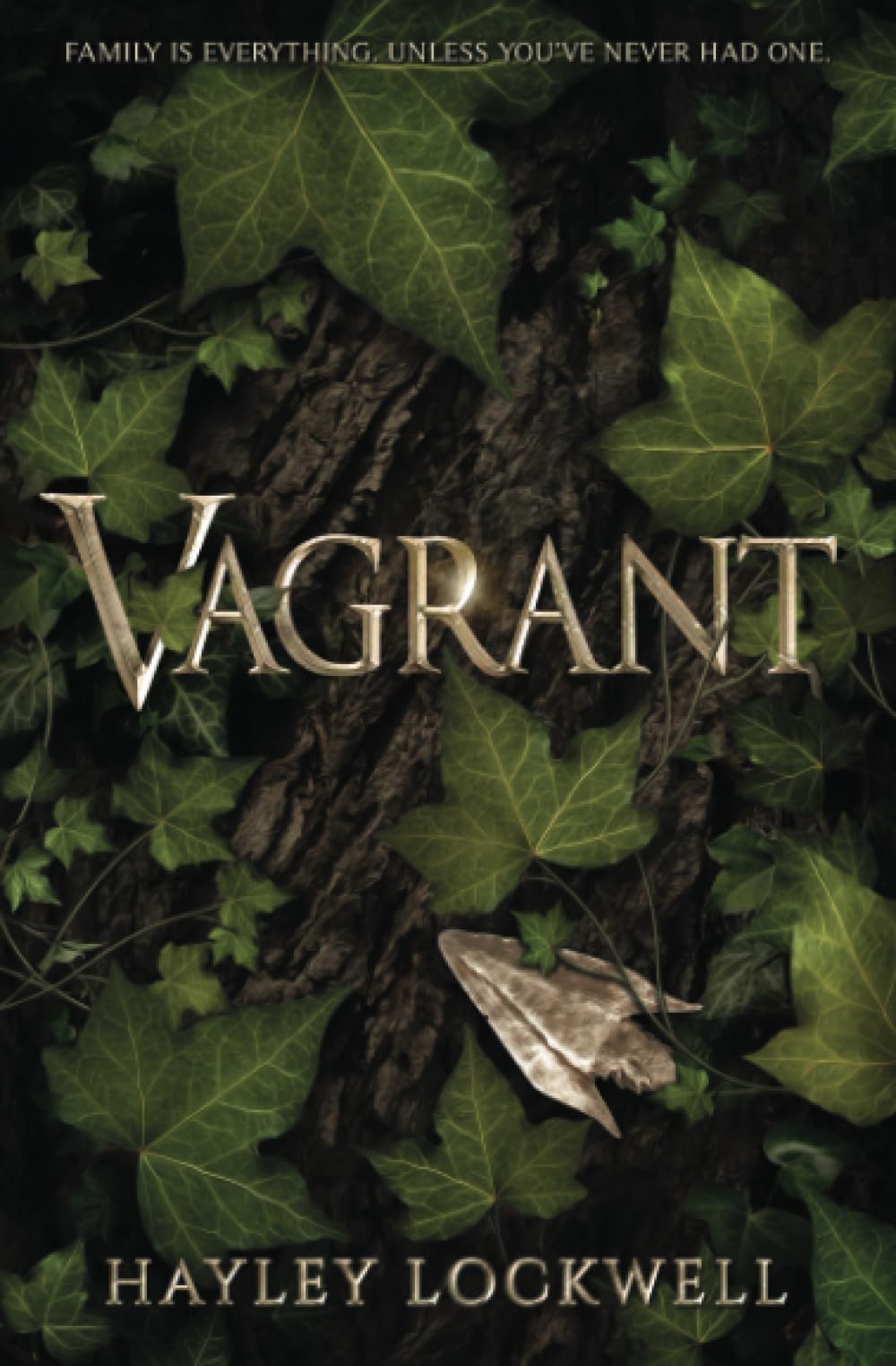 Vagrant by Hayley Lockwell | Goodreads