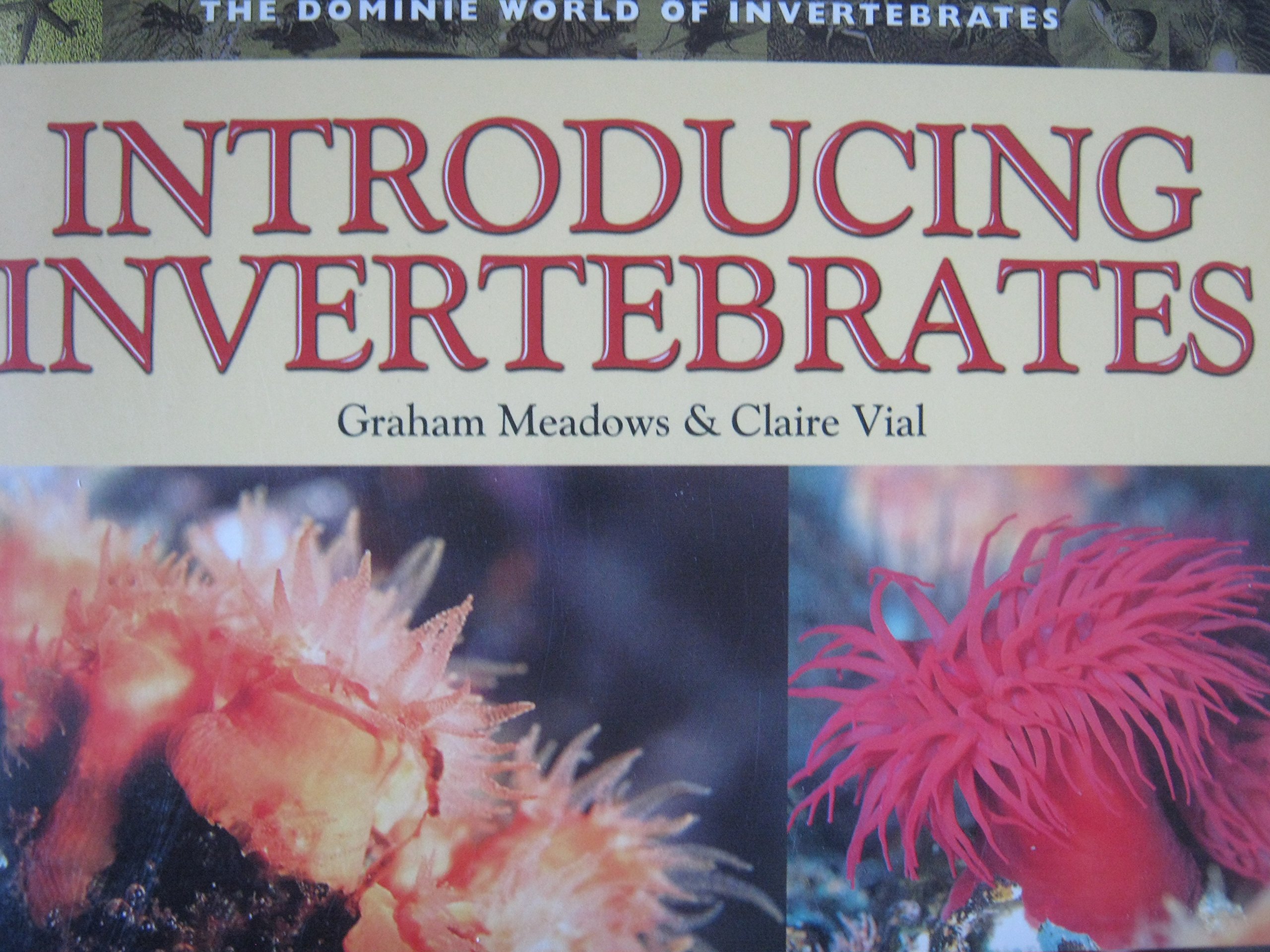 INTRODUCING INVERTEBRATES by Graham Meadows | Goodreads