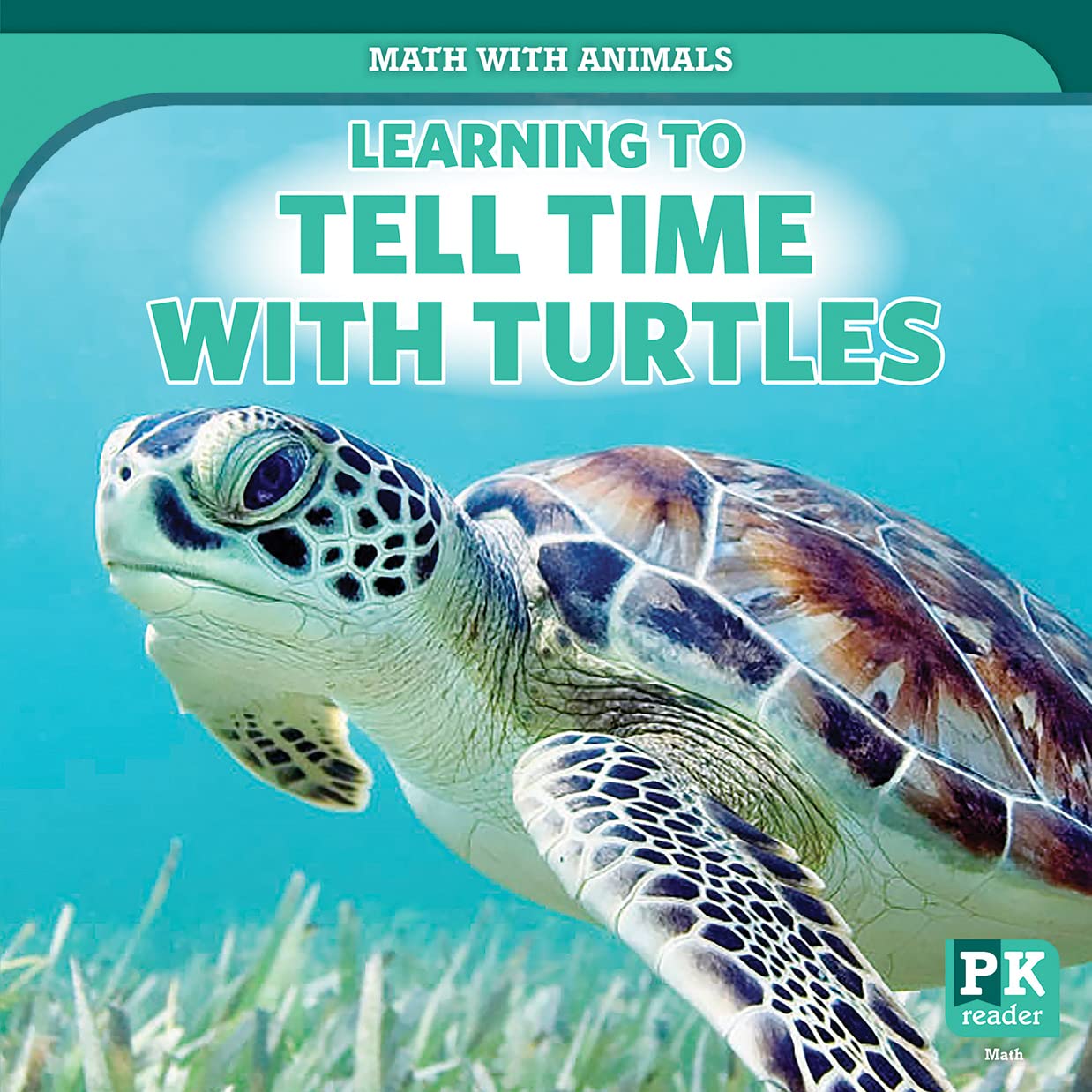 Learning to Tell Time With Turtles by Ursula Pang | Goodreads