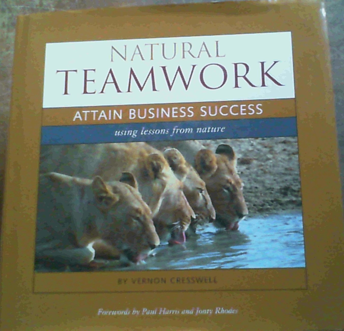 Natural Teamwork: Attain Business Success Using Lessons from Nature by ...
