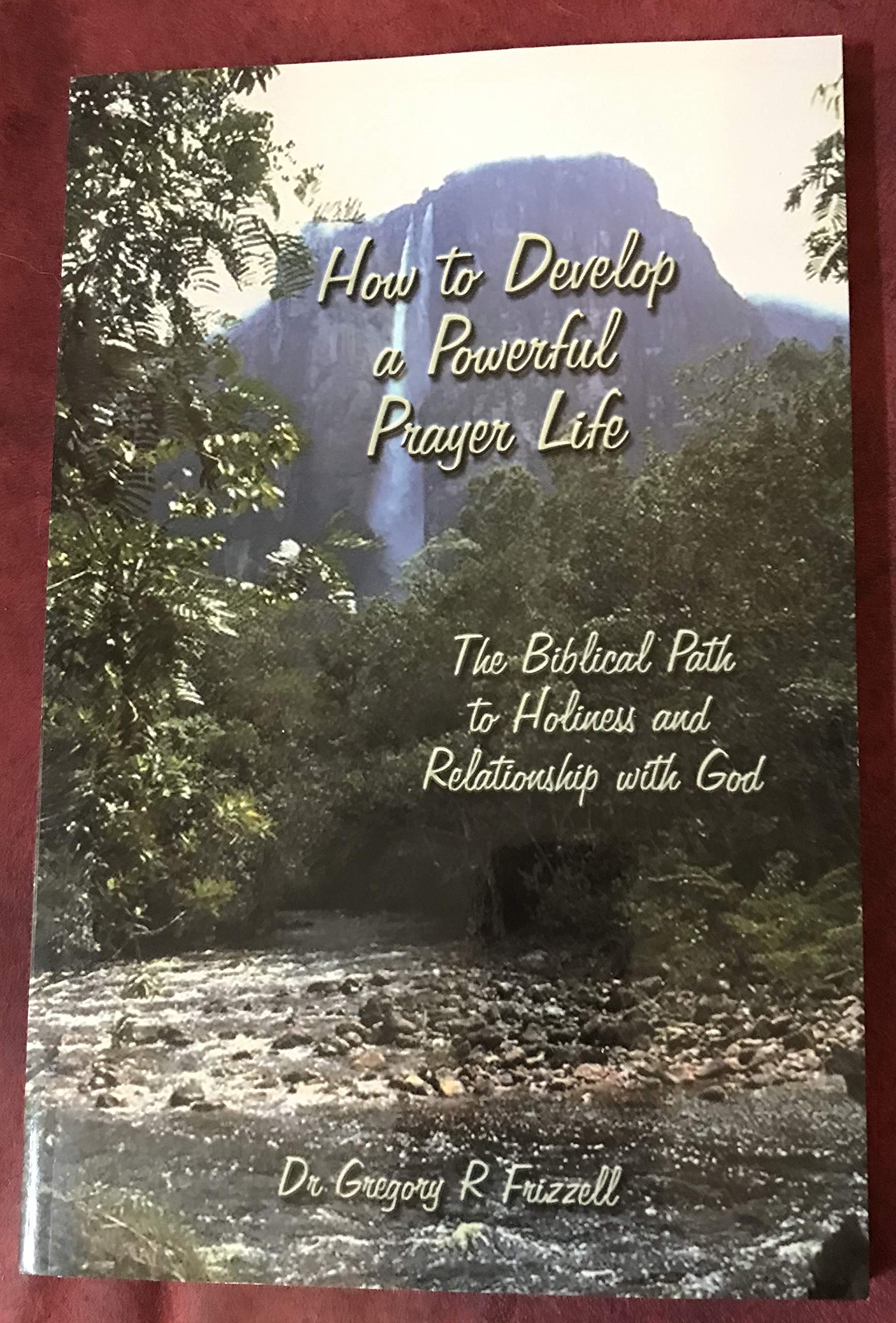 How to Develop a Powerful Prayer Life: Teh Biblical Path to Holin ess and Relationships with God ...
