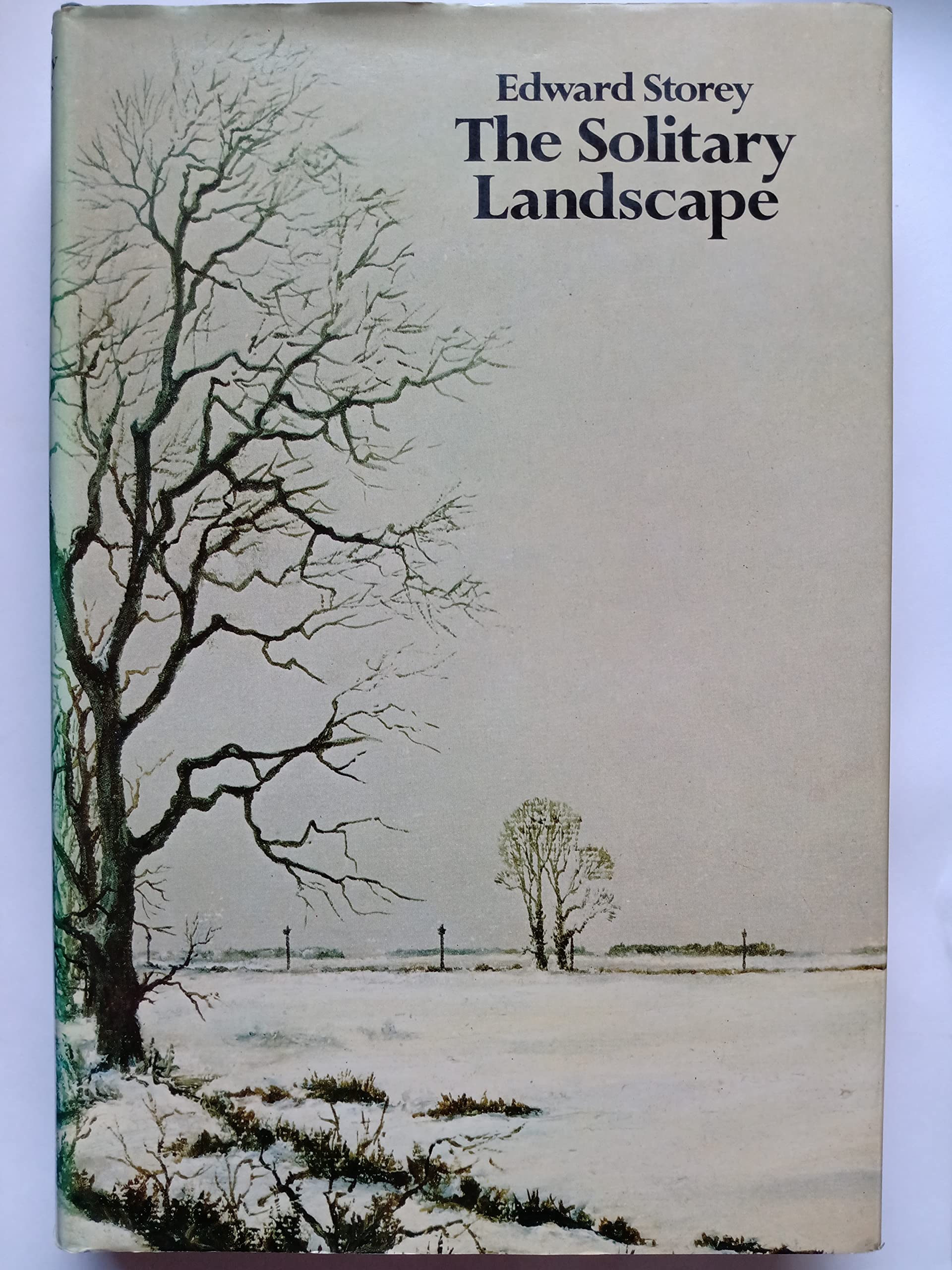The solitary landscape by Edward Storey | Goodreads