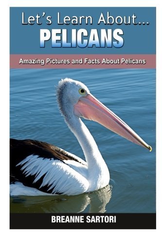 Pelicans: Amazing Pictures and Facts About Pelicans (Let's Learn About ) by Breanne Sartori by ...