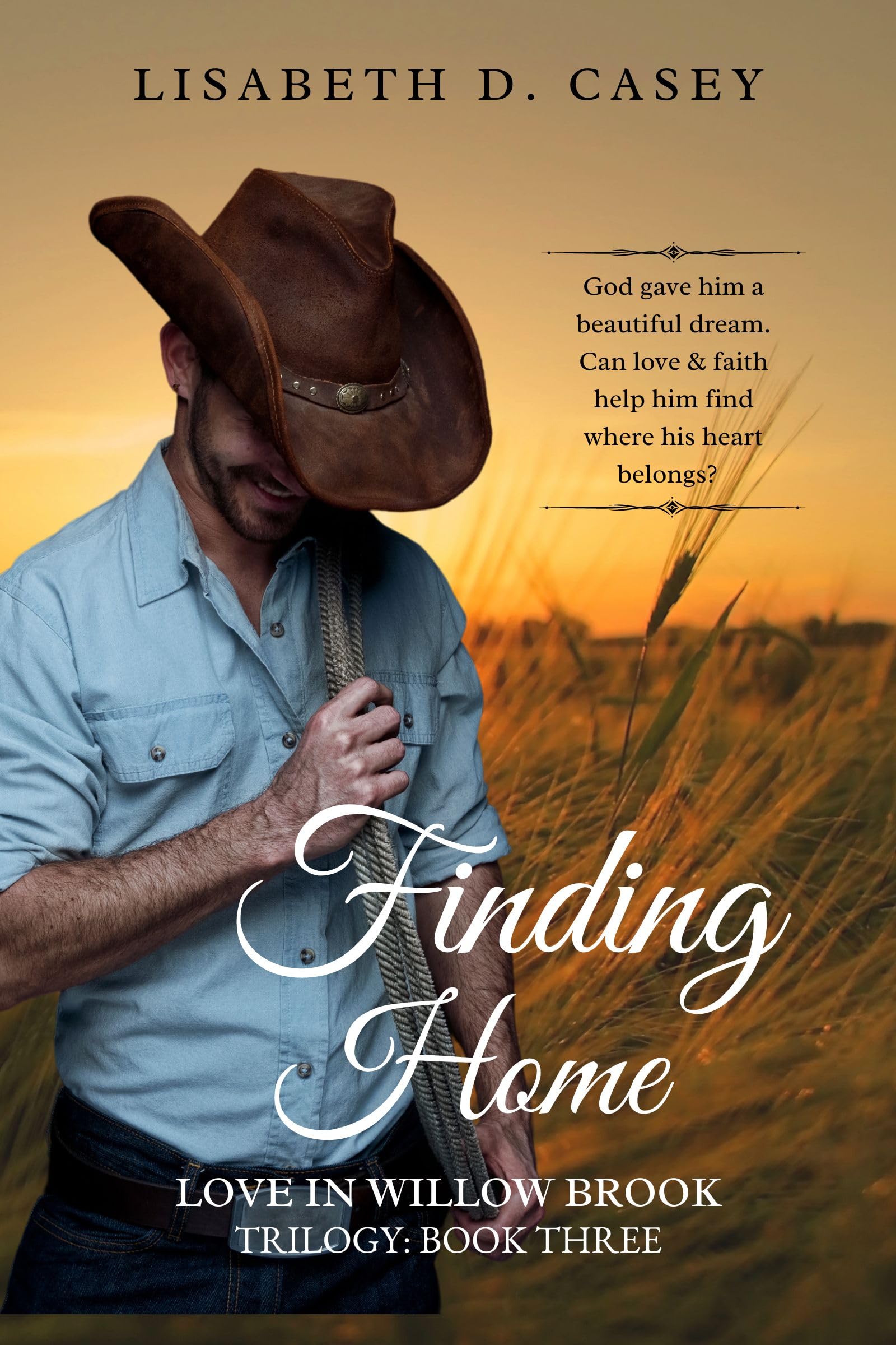 Finding Home: Love in Willow Brook: Book Three by Lisabeth D. Casey ...