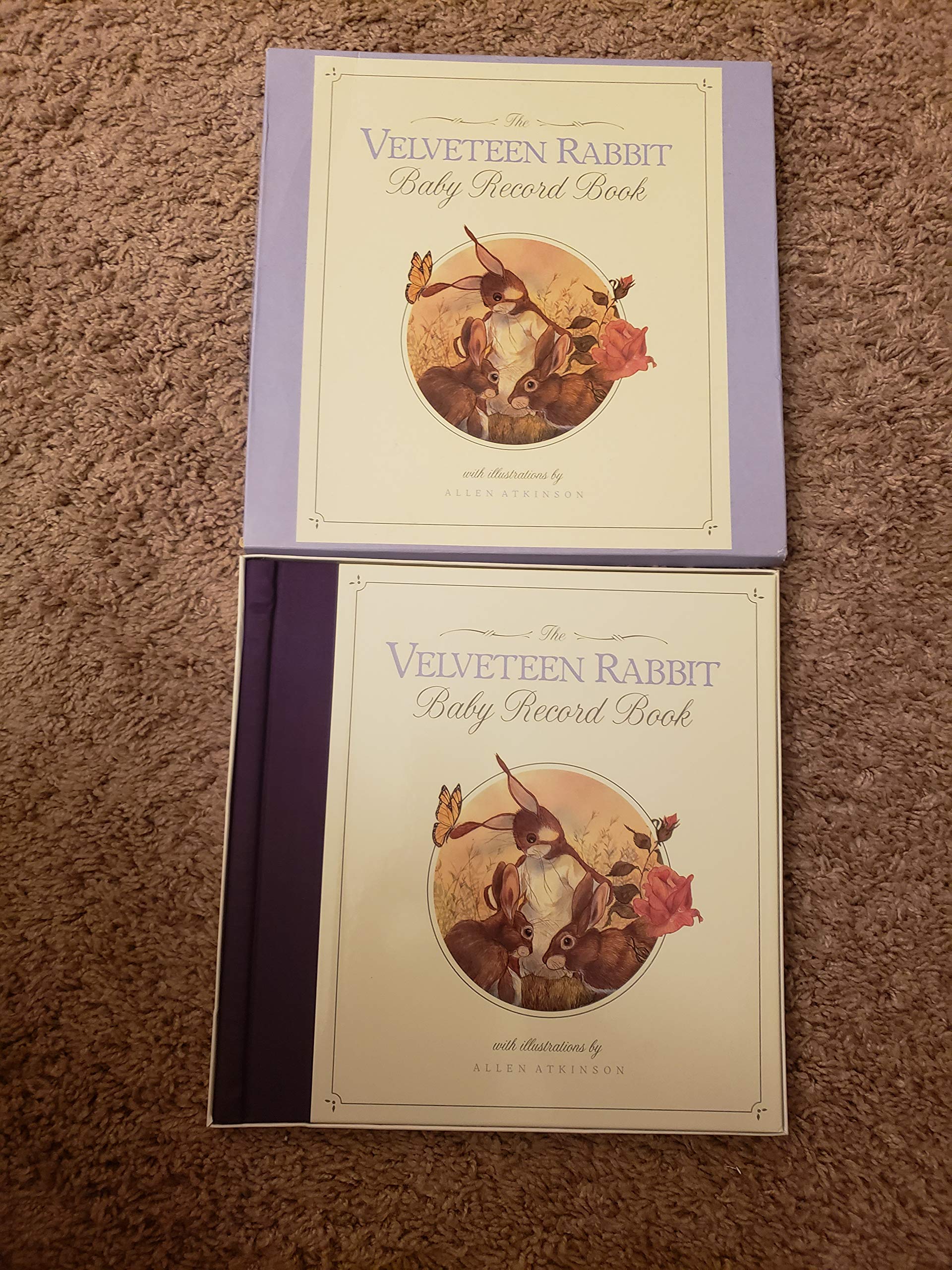 The Velveteen Rabbit Baby Record Book by Running Press | Goodreads