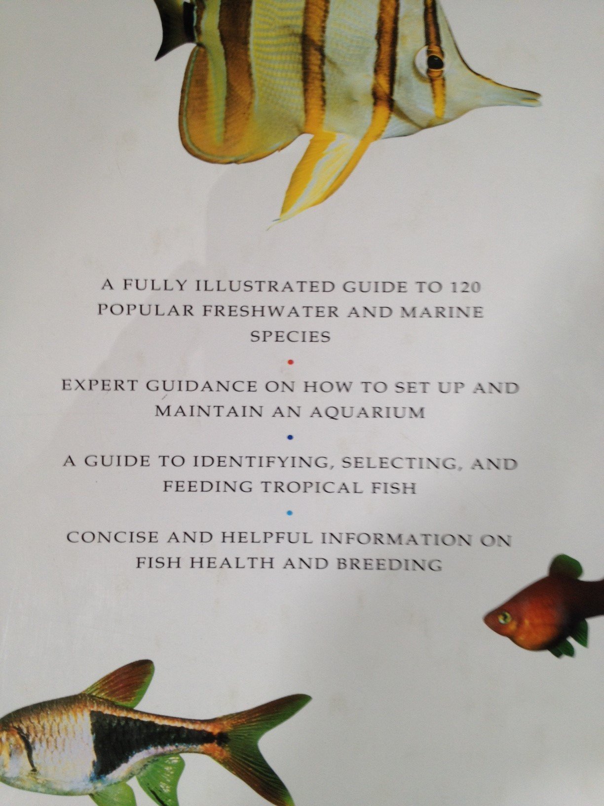 Tropical Fish Identifier: A Complete Guide to Identifying, Choosing ...