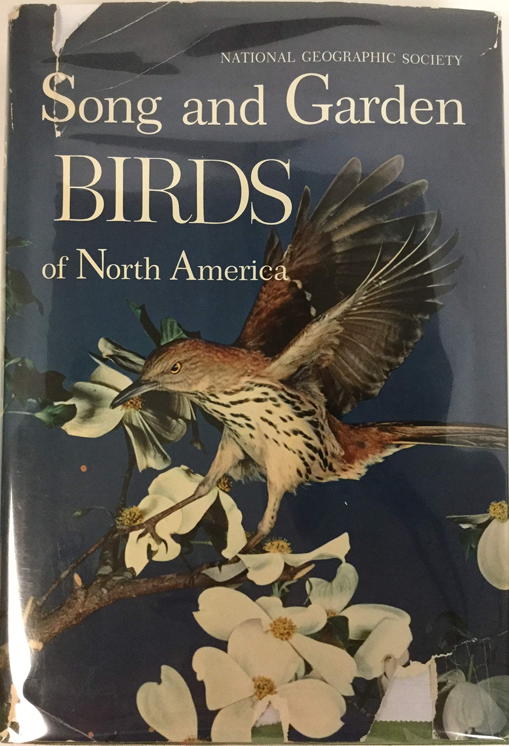 Song and Garden Birds of North America, 1964, Identification Guide, 400 ...