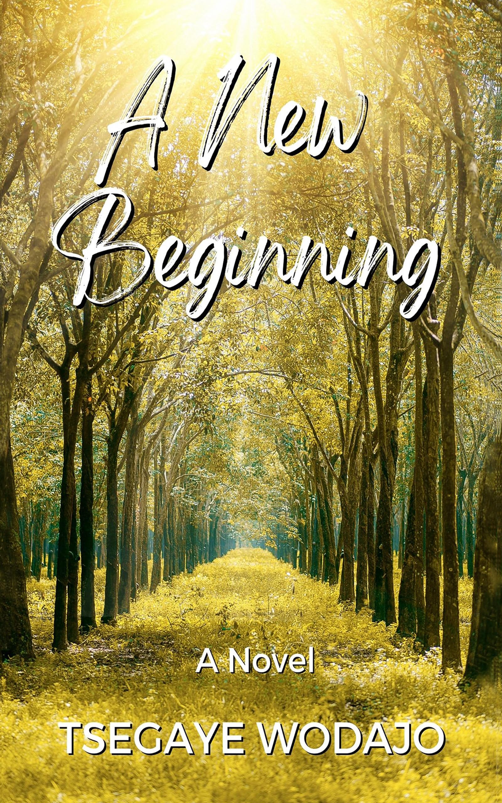 A New Beginning by Tsegaye Wodajo | Goodreads