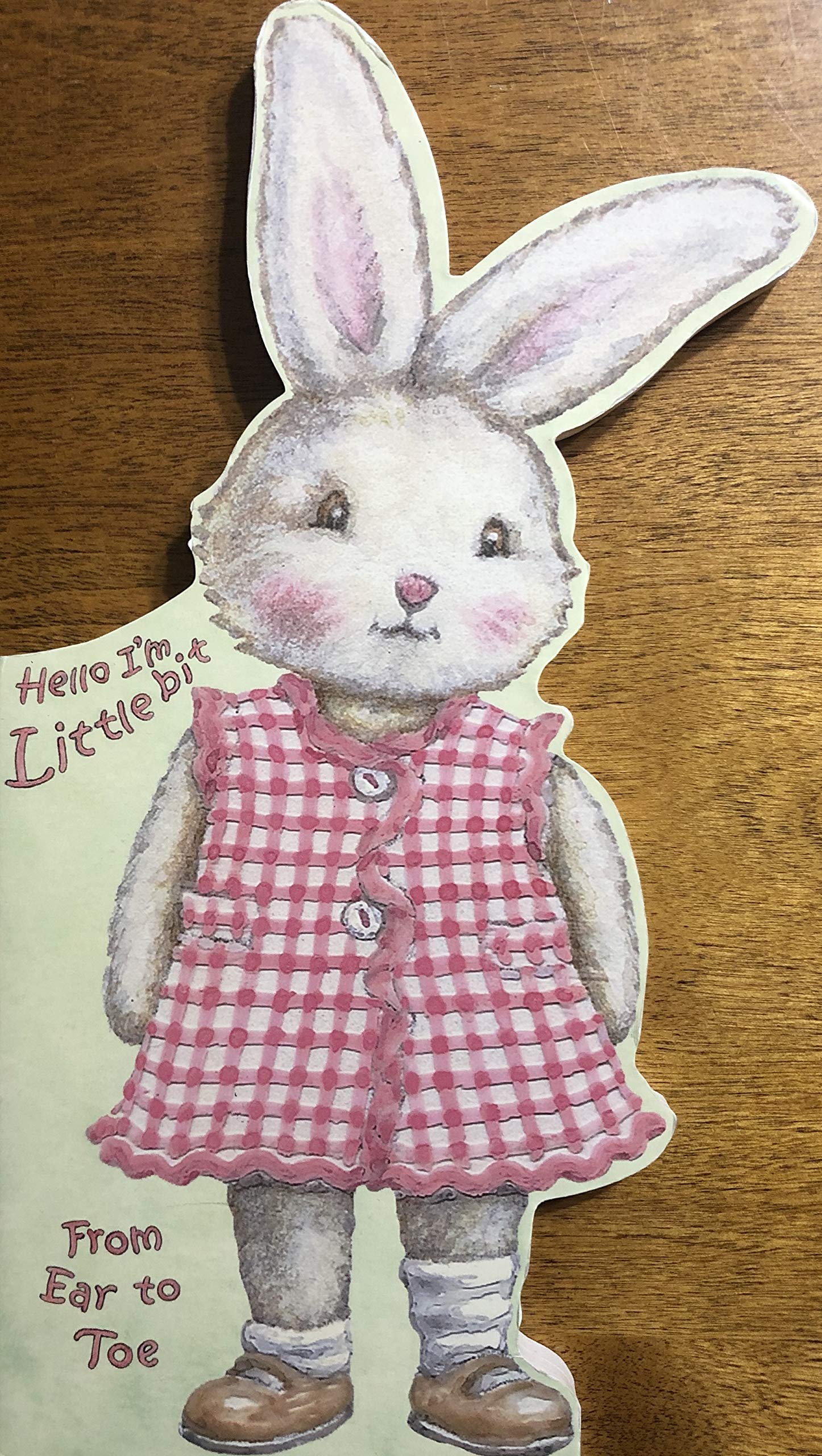 Hello I'm Little Bit : From Ear to Toe by Suzanne Knutson | Goodreads