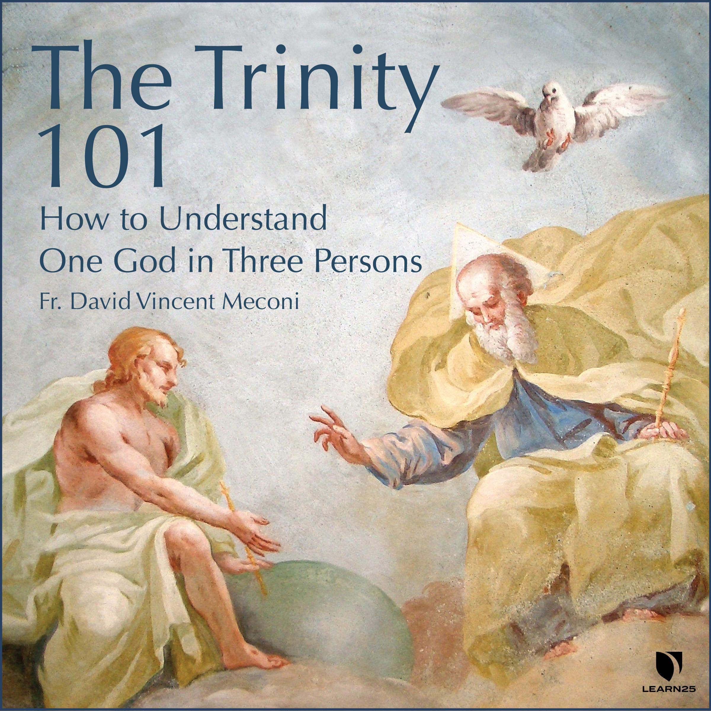 The Trinity 101 by Father David Meconi | Goodreads