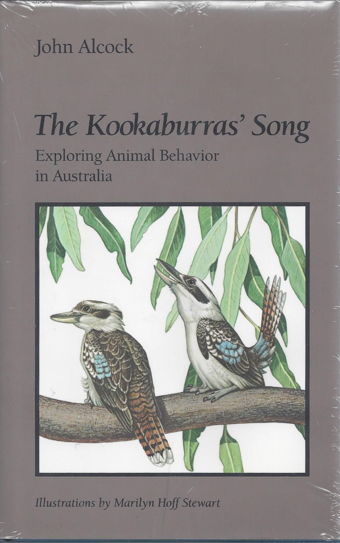 The Kookaburras' Song: Exploring Animal Behavior in Australia, 1st ...